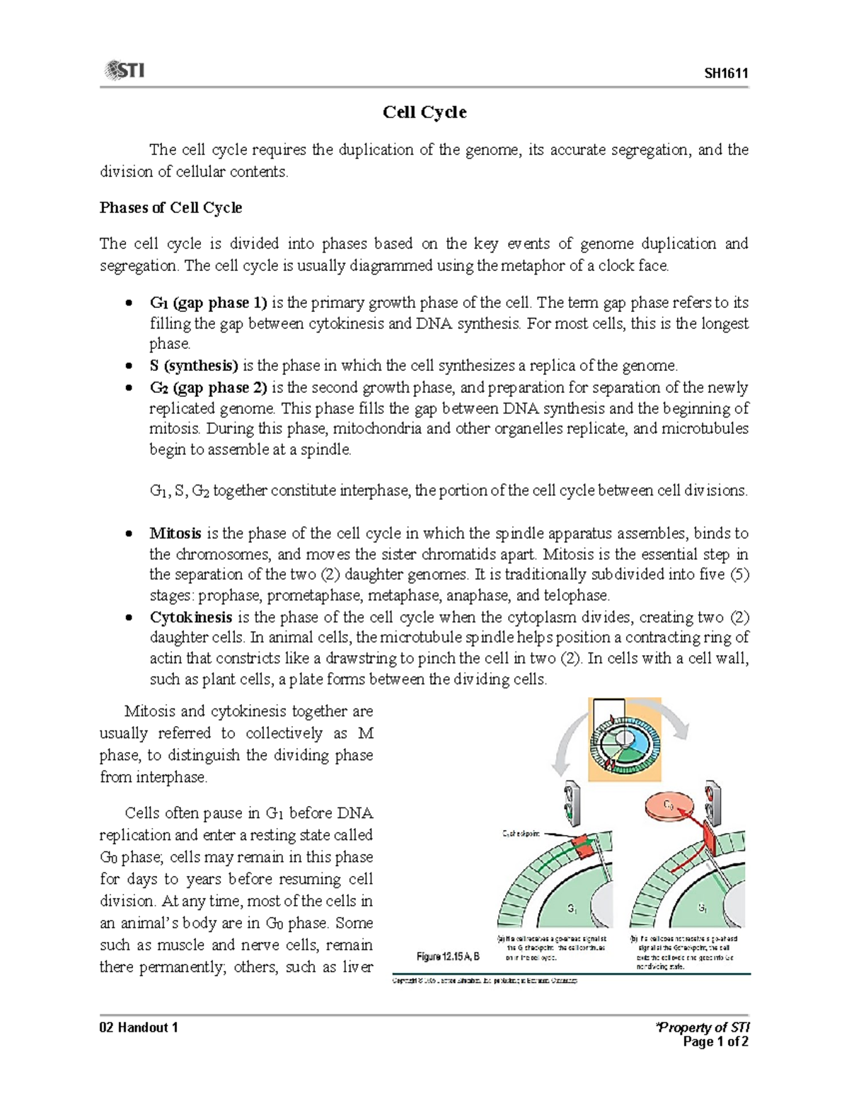 02 Handout 1(2)-1 - Gen Bio - SH 02 Handout 1 *Property of STI Page 1 ...