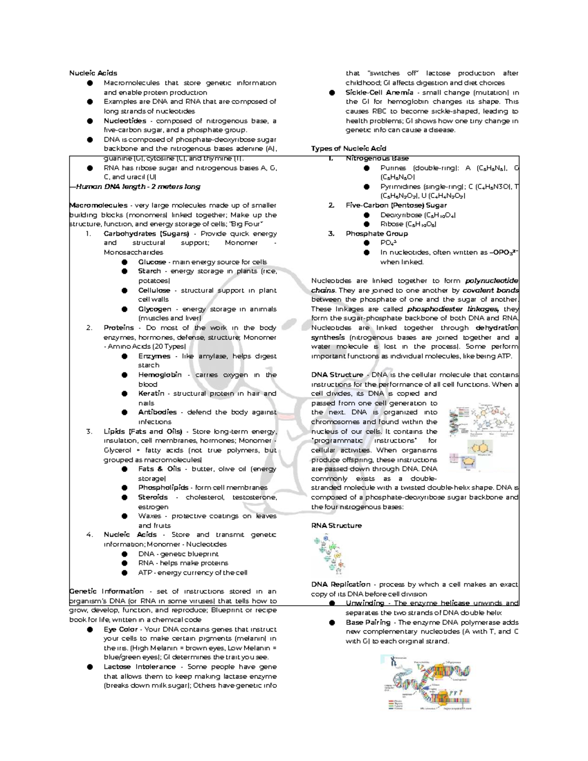 Biochem 1st Sem - Finals: Nucleic Acids & Macromolecules Overview - Studocu