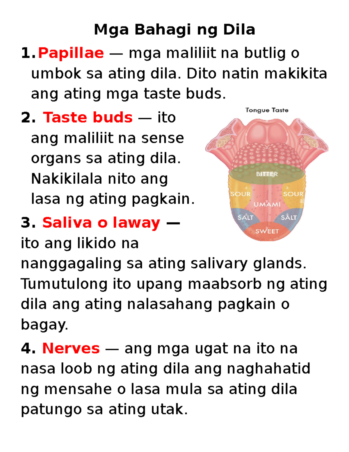 Dila bahagi - Mga Bahagi ng Dila Papillae — mga maliliit na butlig o ...