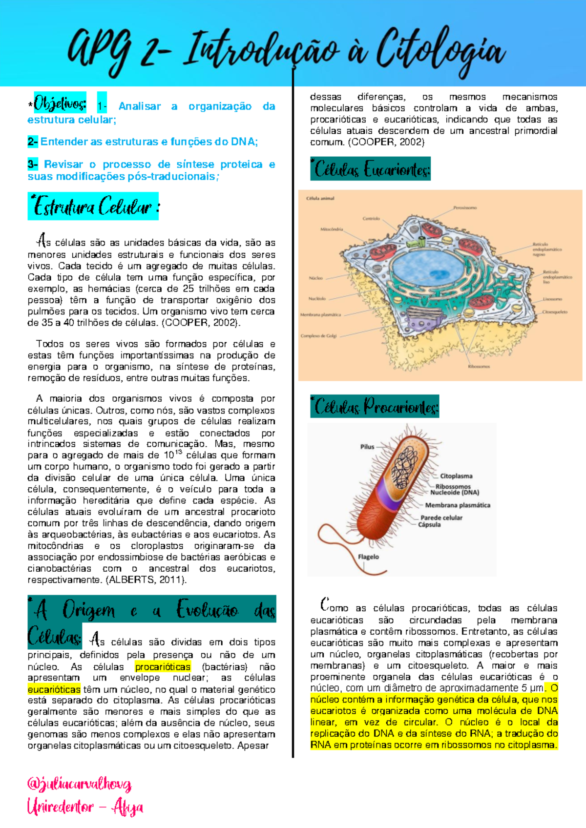 APG 02: Estruturas e Funções Celulares - Citologia e Síntese Proteica ...