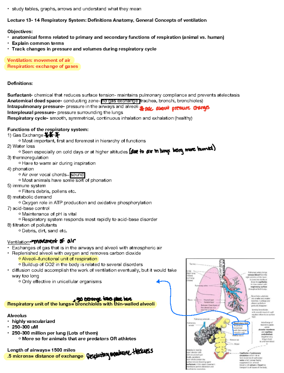 Physiological Mechanisms of Respiration and Exercise Impact - Lecture ...