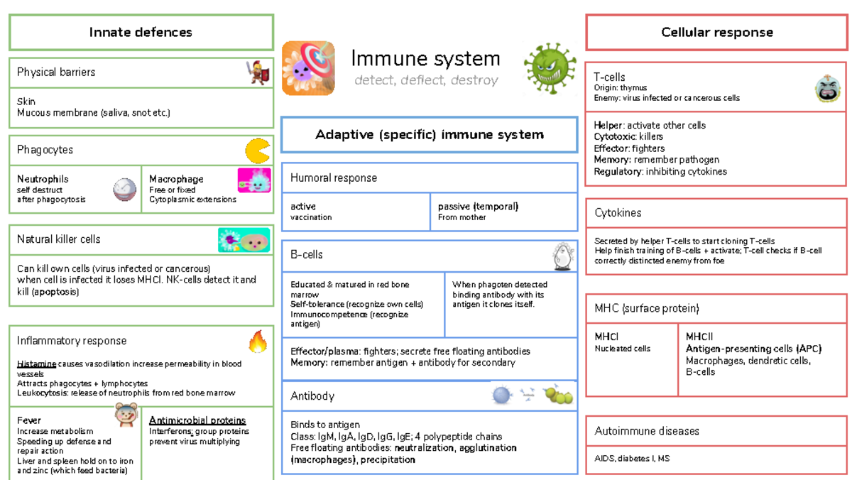 Anatomy & Physiology II: Immune System and Hormonal Responses Overview ...