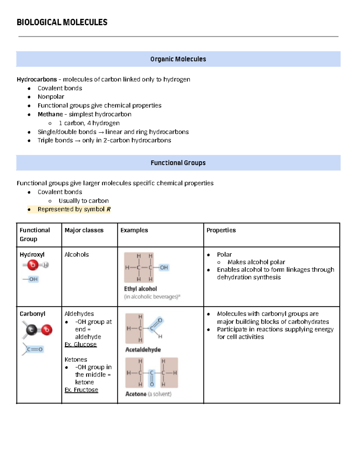 BIOL Chapter 3 Notes - Overview of Organic Molecules and Structures ...