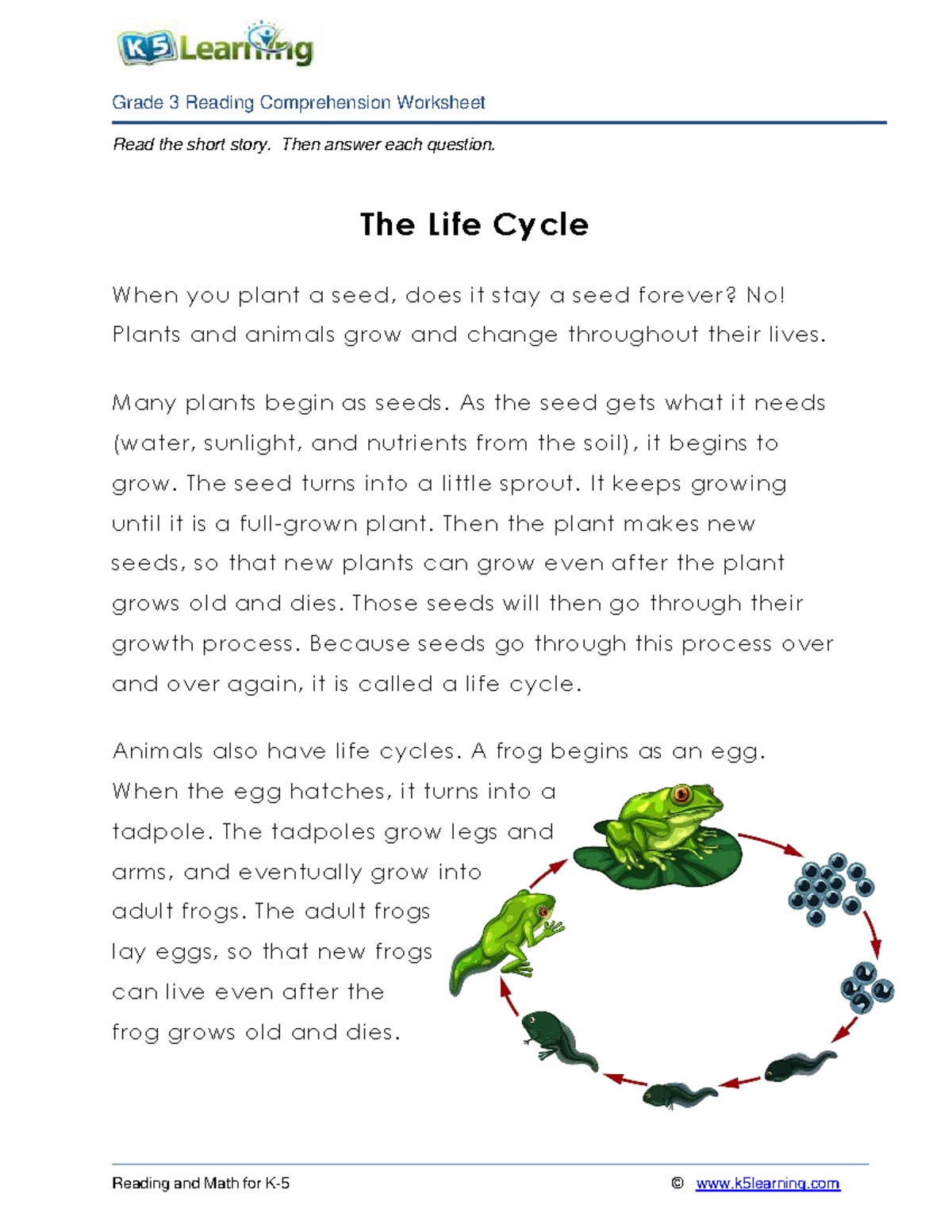 Grade 3 Reading Comprehension: Life Cycle Worksheet - Studocu