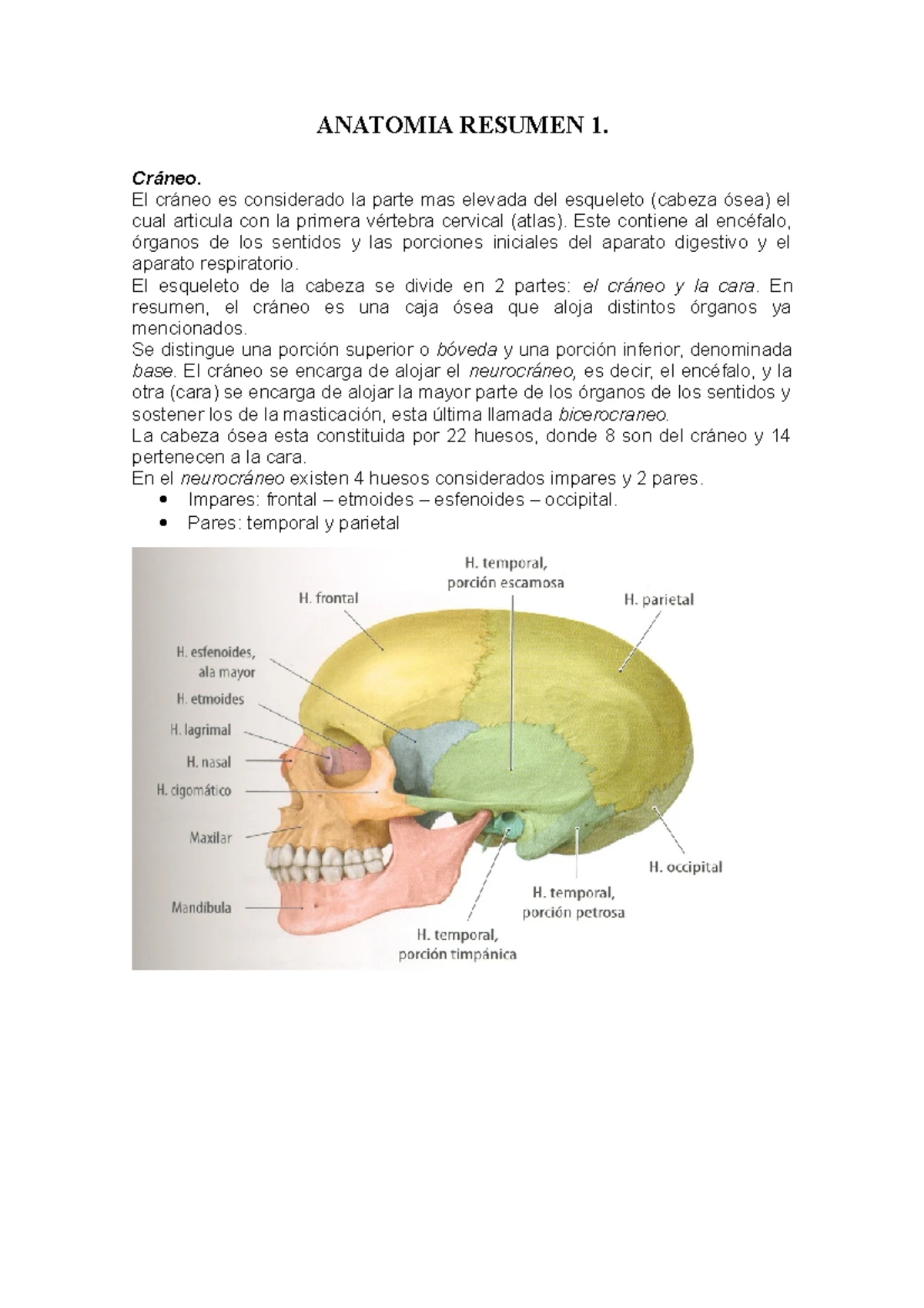 Informe Final Anatomía: Istmo de las Fauces - Odontología - Studocu