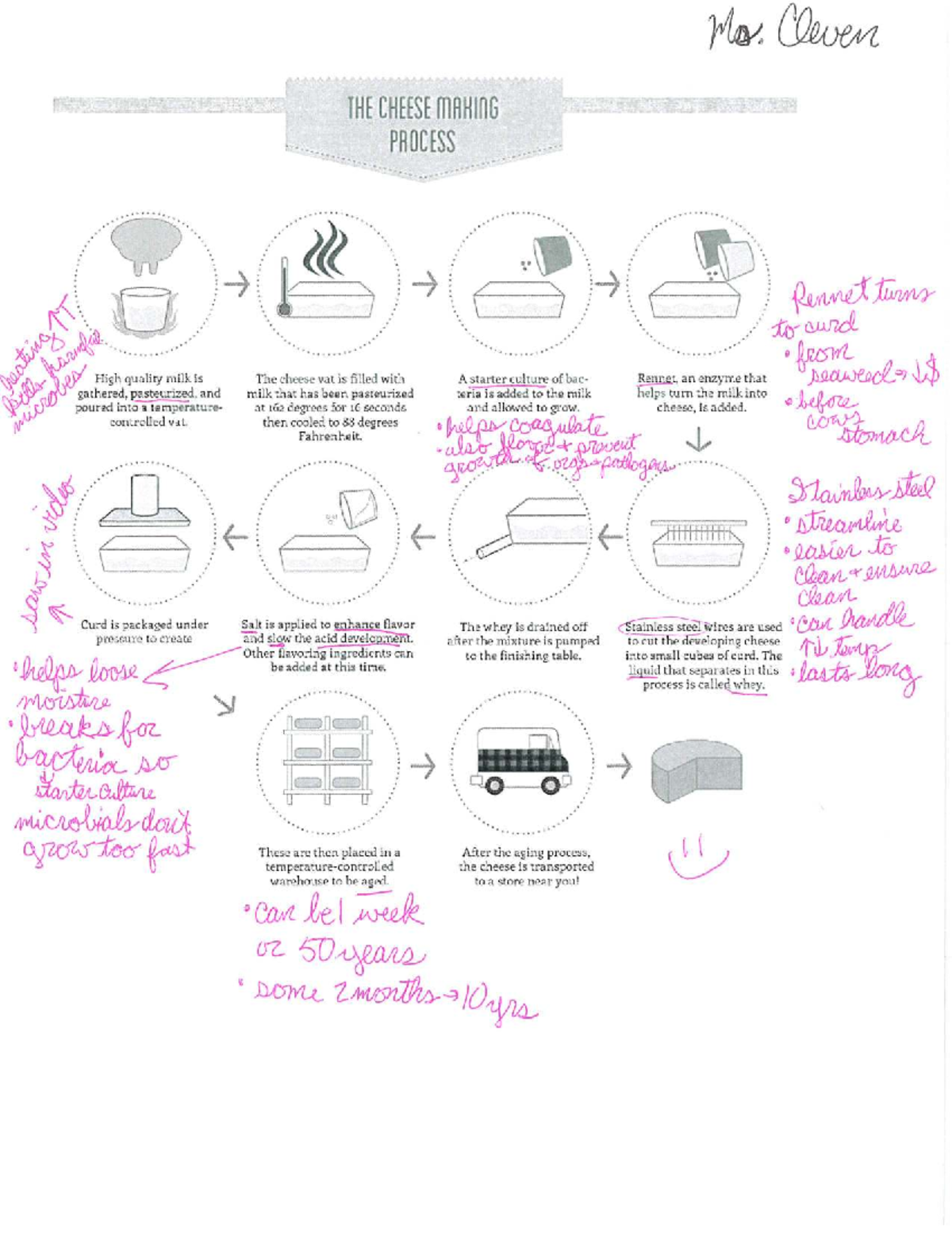 Cheesemaking Process Overview: Graphic Notes for Mo. Cleven - Studocu