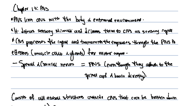 Chapter 13: Peripheral Nervous System Overview and Functions - Studocu