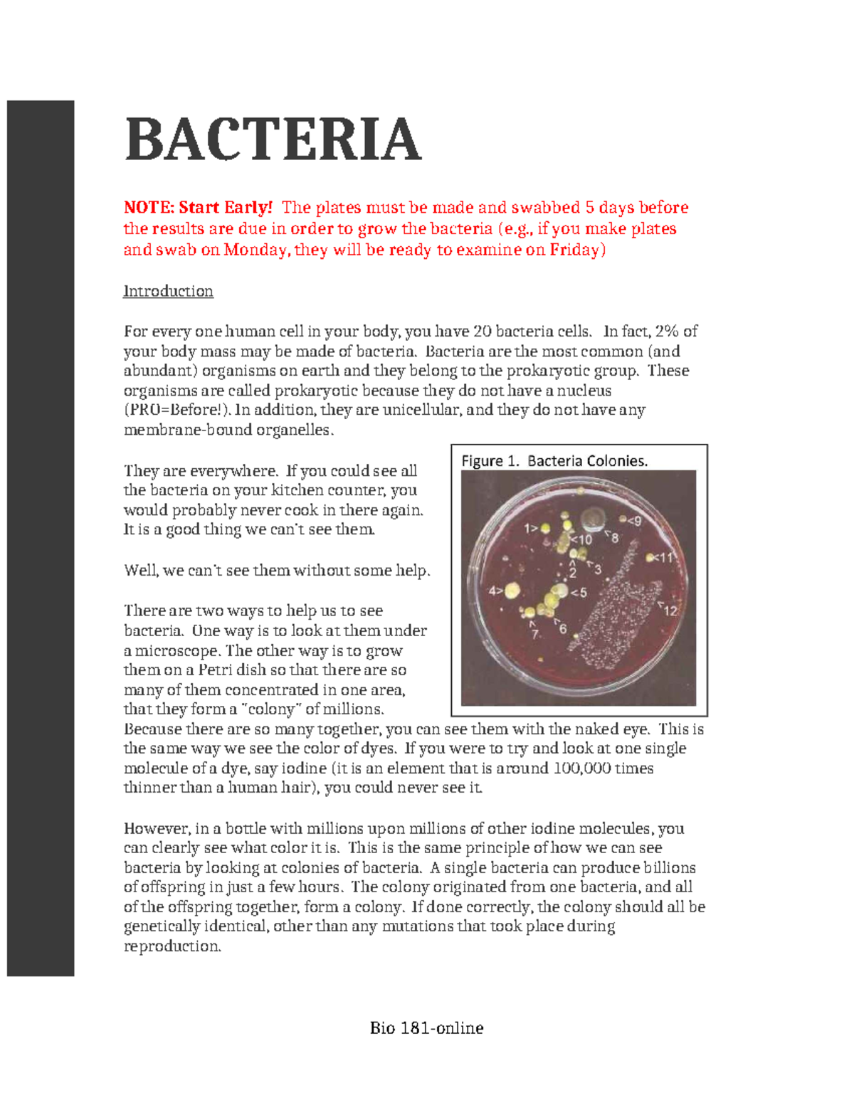Bacteria Lab Notes: Handwashing & Body Parts Experiment (BIO 205) - Studocu