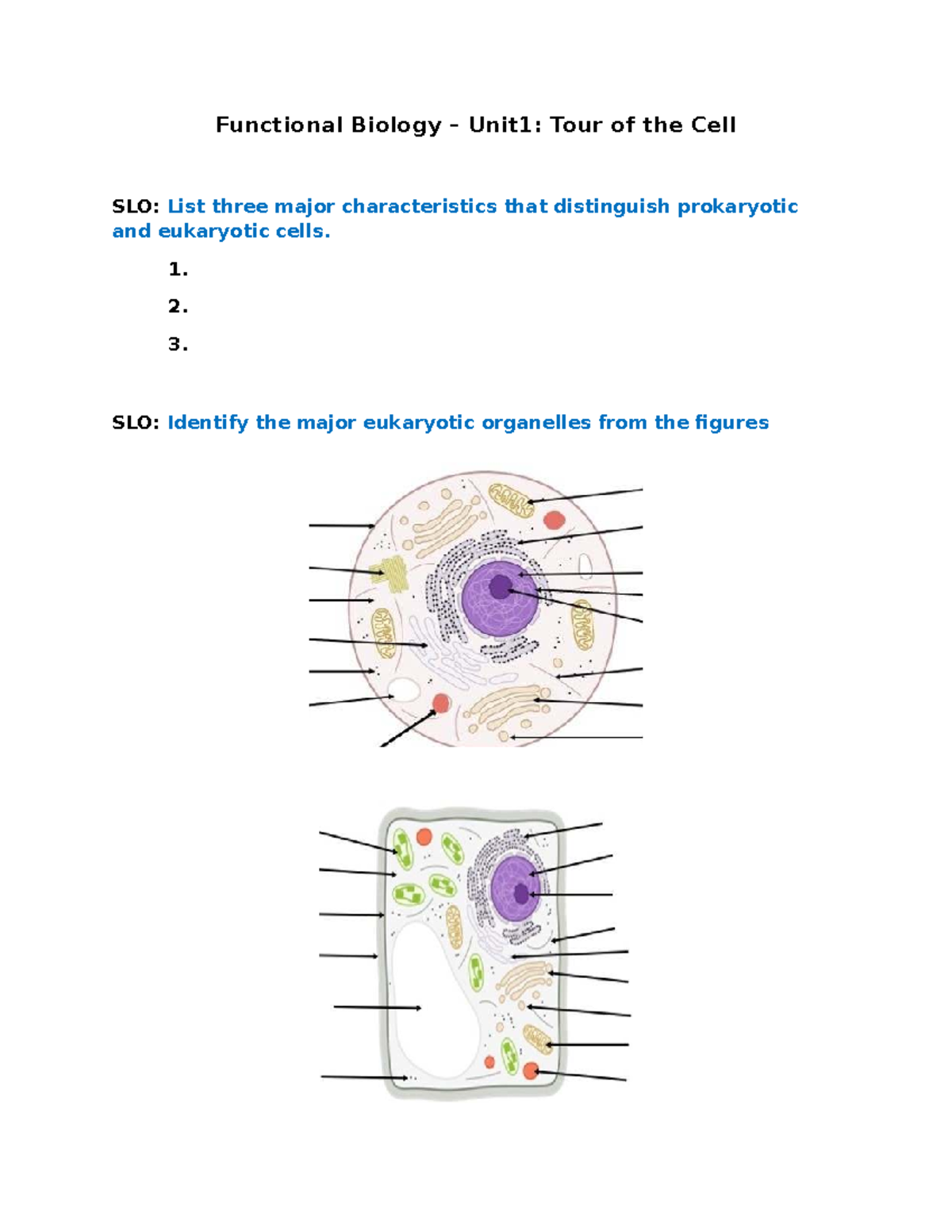 Functional Biology - Unit 1: Eukaryotic Cells & Organelles Overview - Studocu
