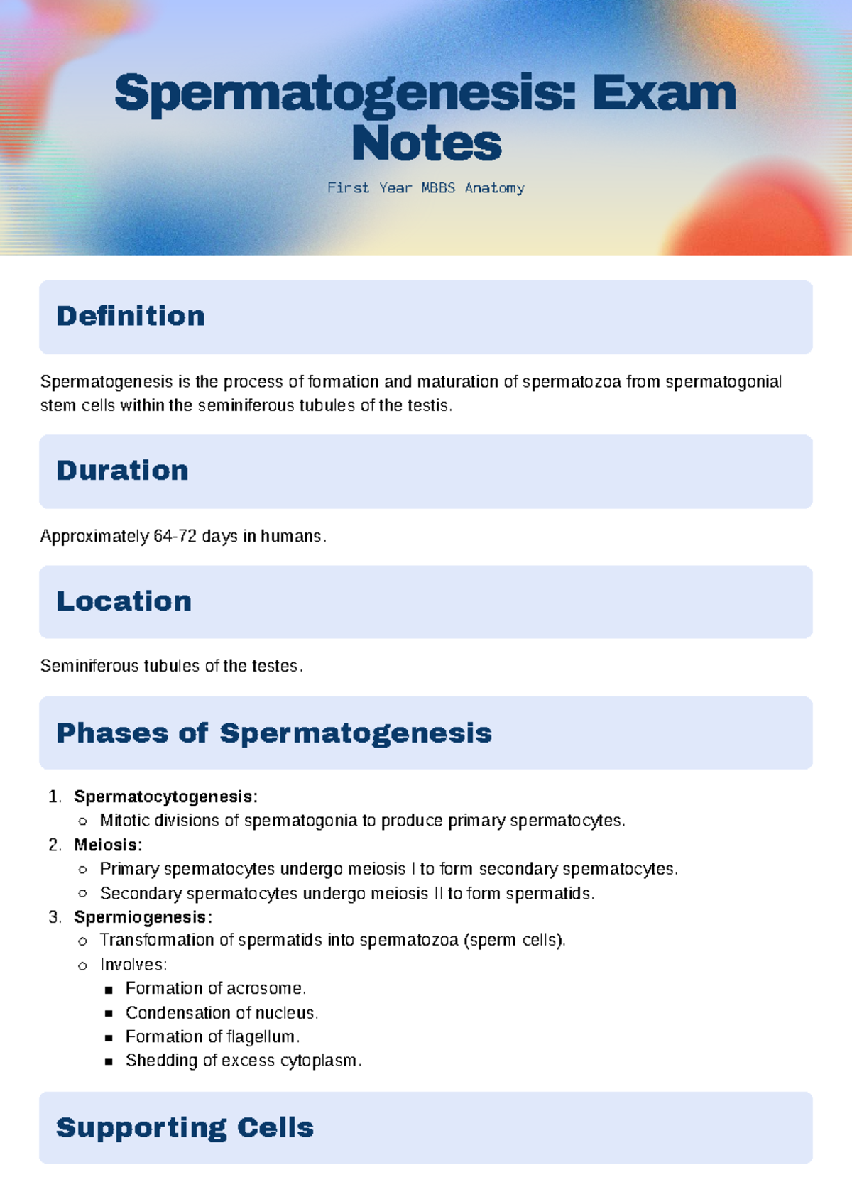 Spermatogenesis: Exam Notes for 1st Year MBBS Anatomy - Studocu
