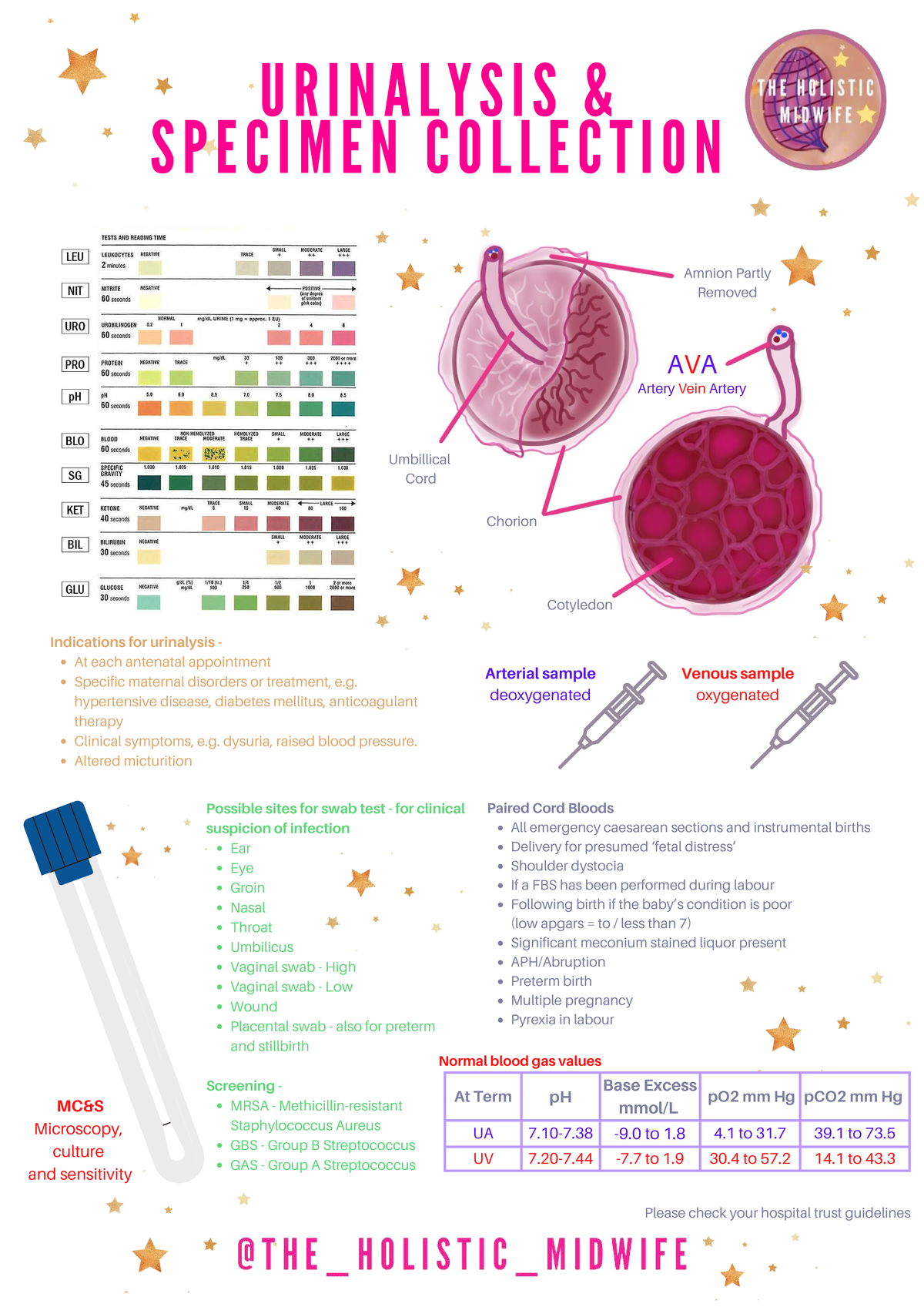 Urinalysis Specimen Collection Guidelines for Antenatal Care - Studocu