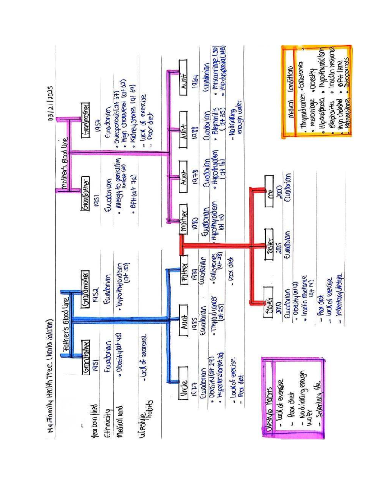 Family health tree (salazar): medical history and conditions - Studocu