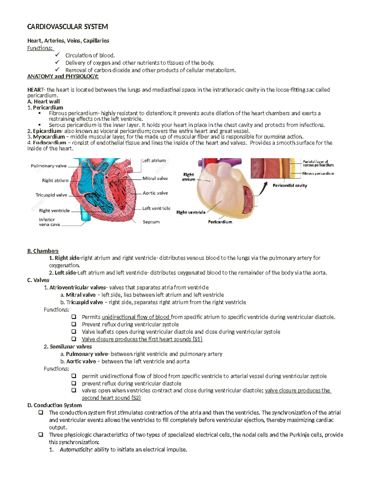 CARDIOVASCULAR SYSTEM: Anatomy, Physiology, and Disorders Overview ...