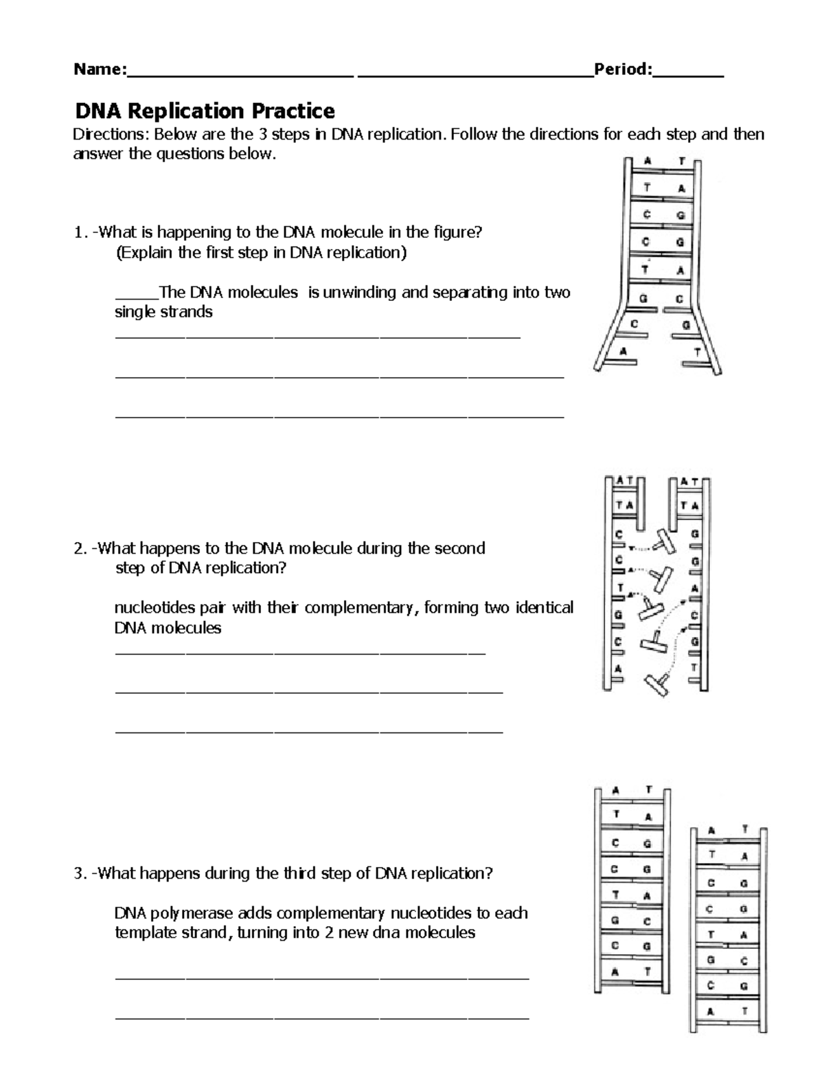 Copy of DNA Replication Worksheet - Name ...