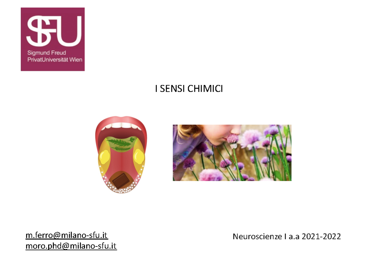 Sensory Mechanisms of Taste and Smell - Neuro 8 Lecture Notes - Studocu