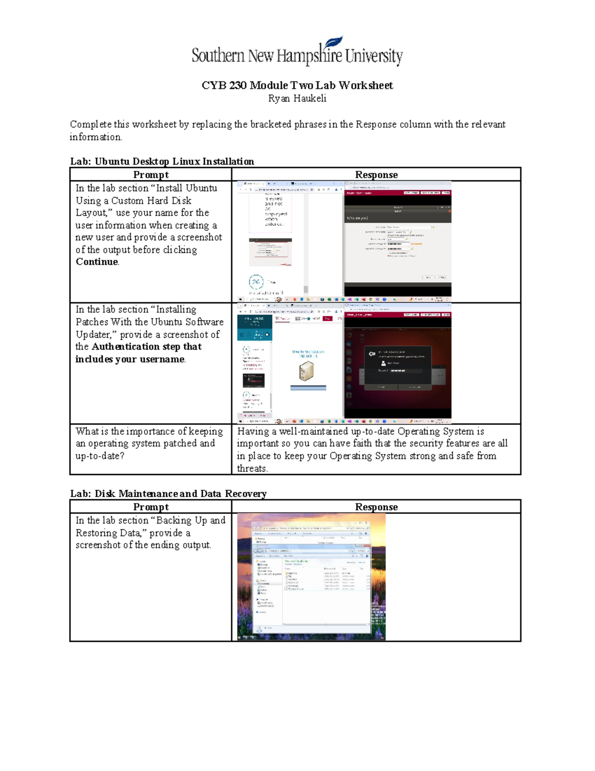 CYB 230 Module Two Lab - CYB 230 Module Two Lab Worksheet Ryan Haukeli ...