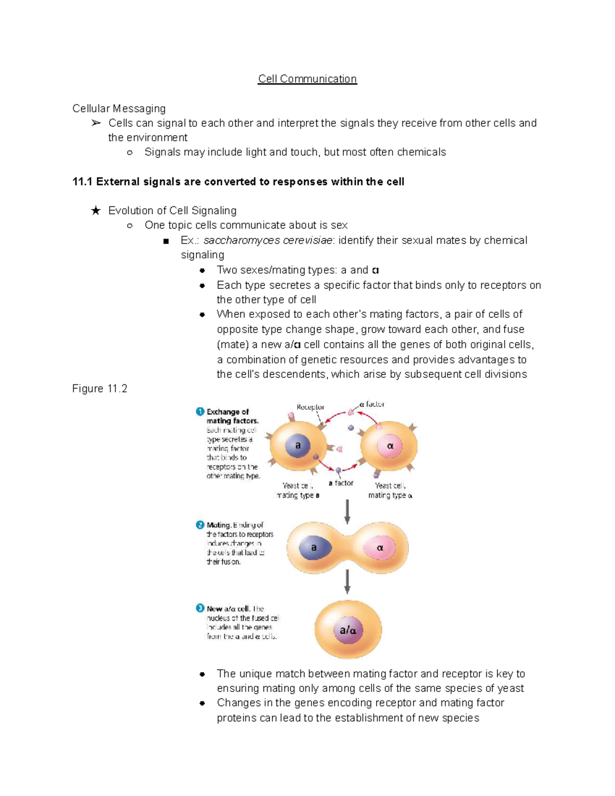 Bio 11: Cell Communication and Signaling Mechanisms Overview - Studocu