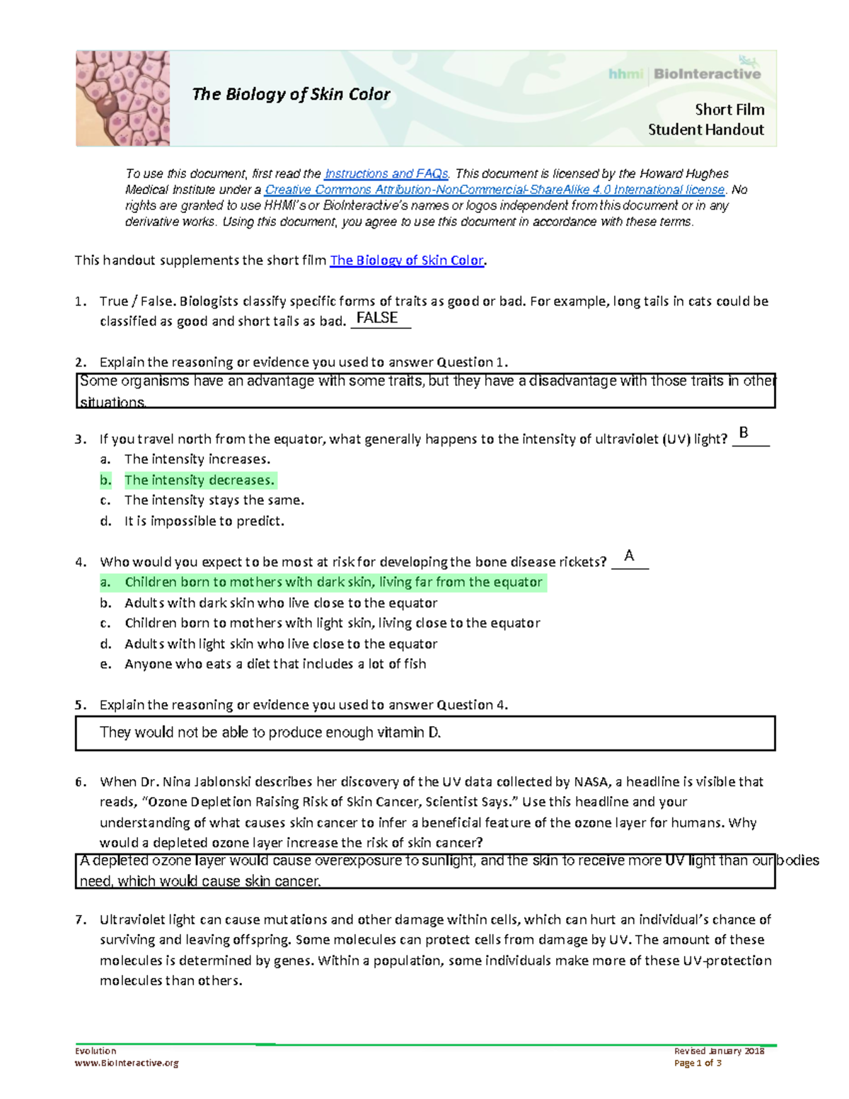 The Biology of Skin Color: Evolution Insights and Student Handout - Studocu