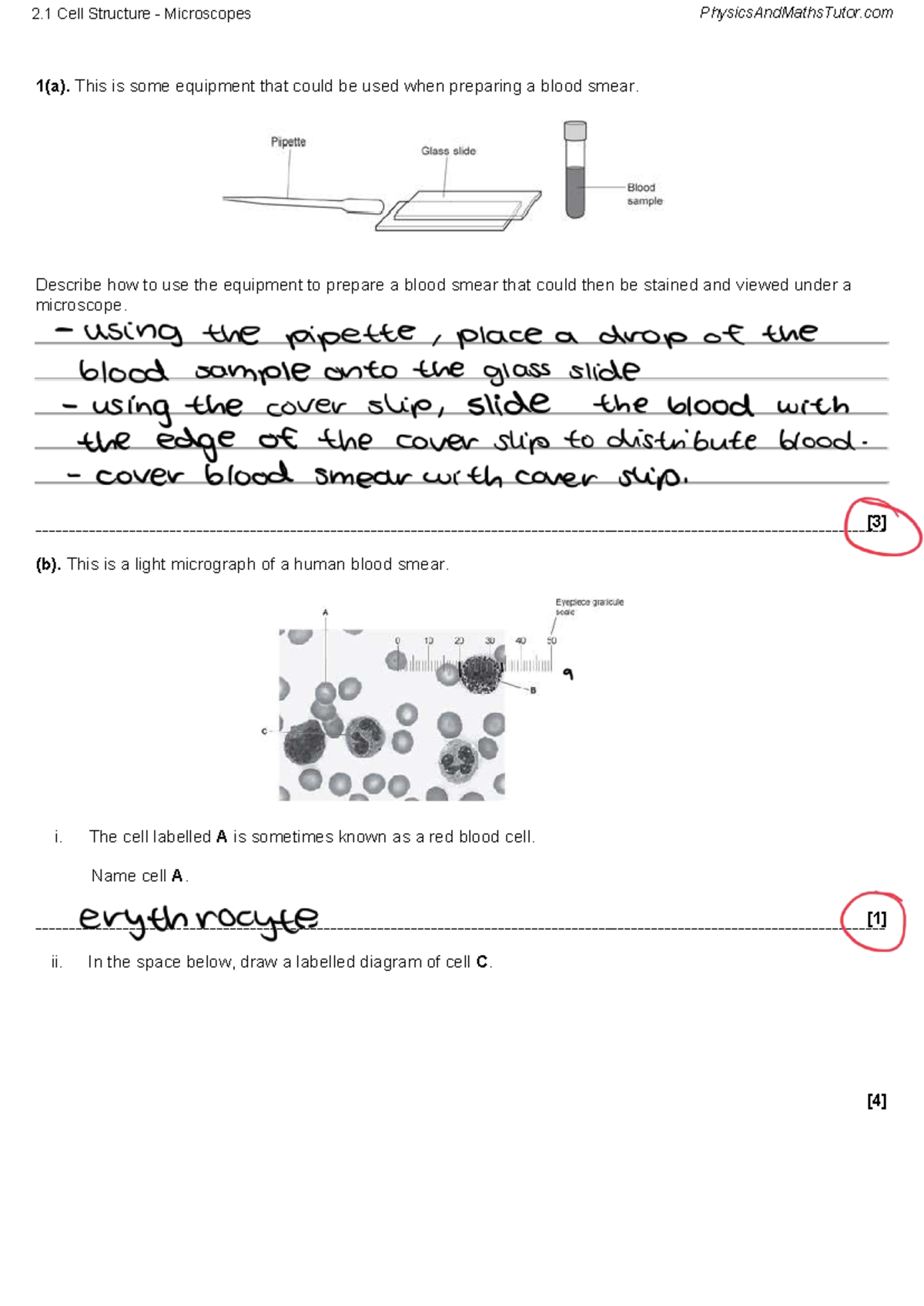 2.1 Cell Structure - Microscopes Question Paper - Studocu