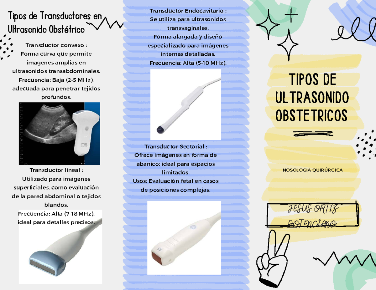 Tipos de ultrasonidos - Transductor convexo : Forma curva que permite ...