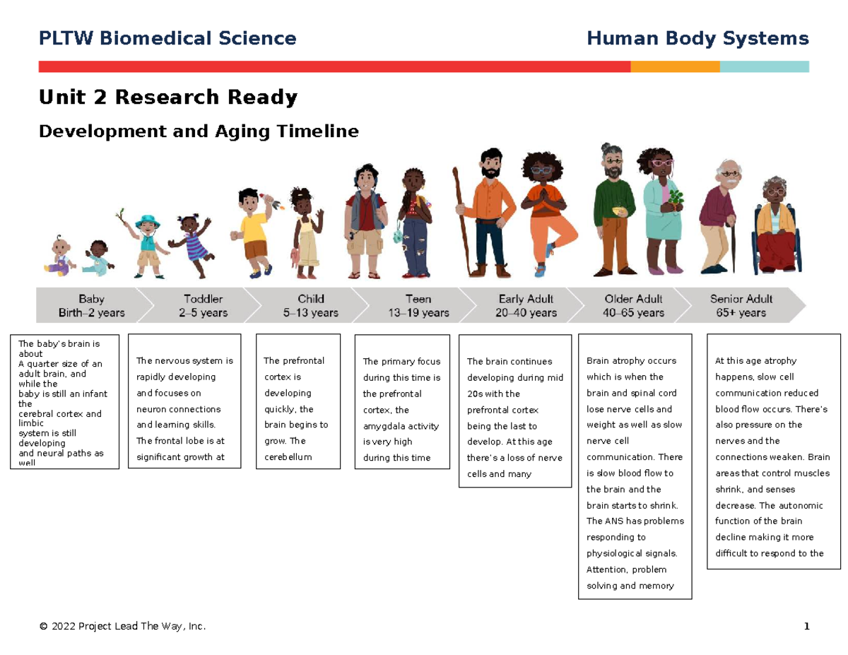 HBS Unit2 Development Aging Timeline-2 - PLTW Biomedical Science Human Body Systems Unit 2 ...