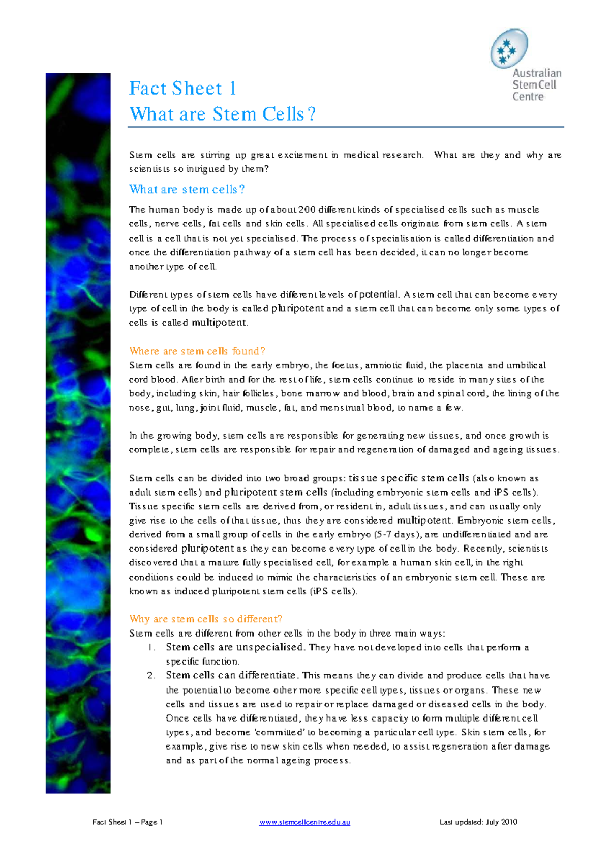 Understanding Stem Cells: Types, Functions & Medical Significance - Studocu