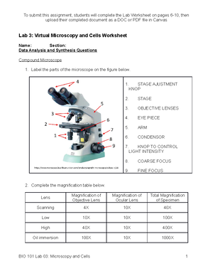 Comprehensive Overview of Cellular Energy & Metabolism (BIO 101) - Studocu