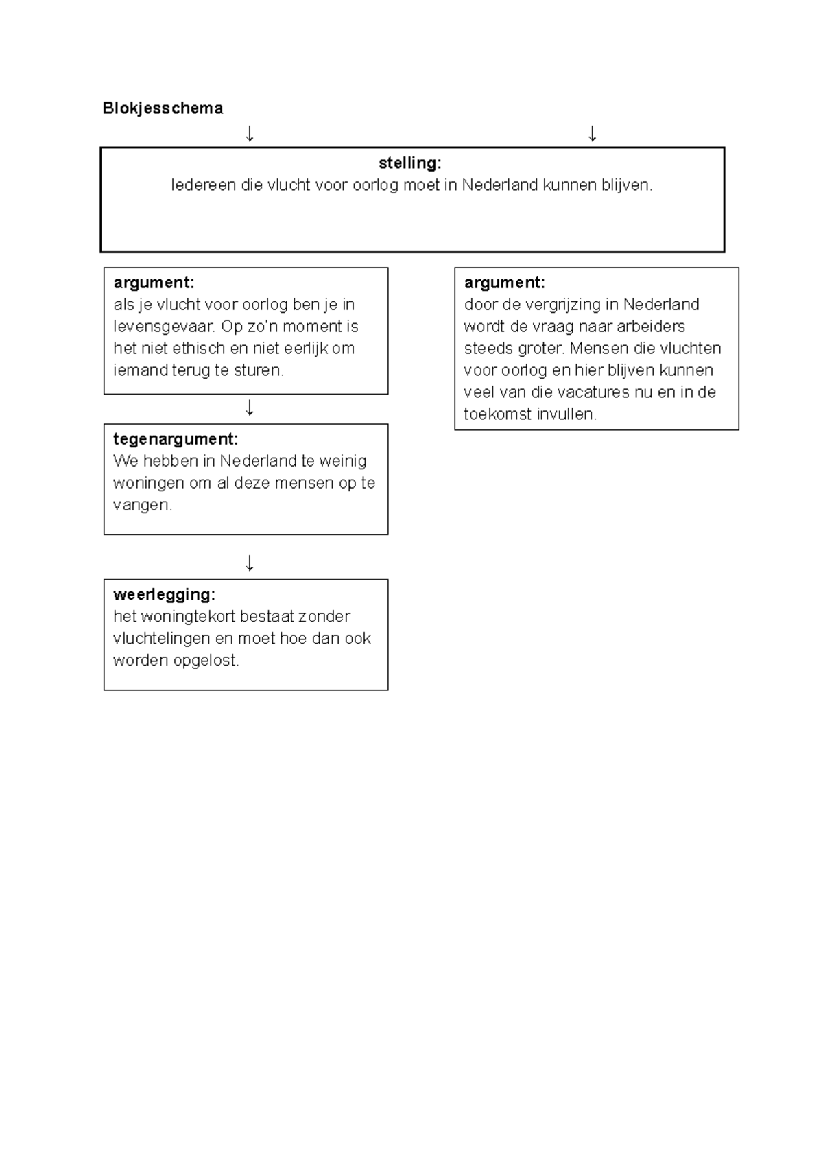 Blokjesschema - Handleiding Betoging over Vluchtelingen in NL - Studeersnel