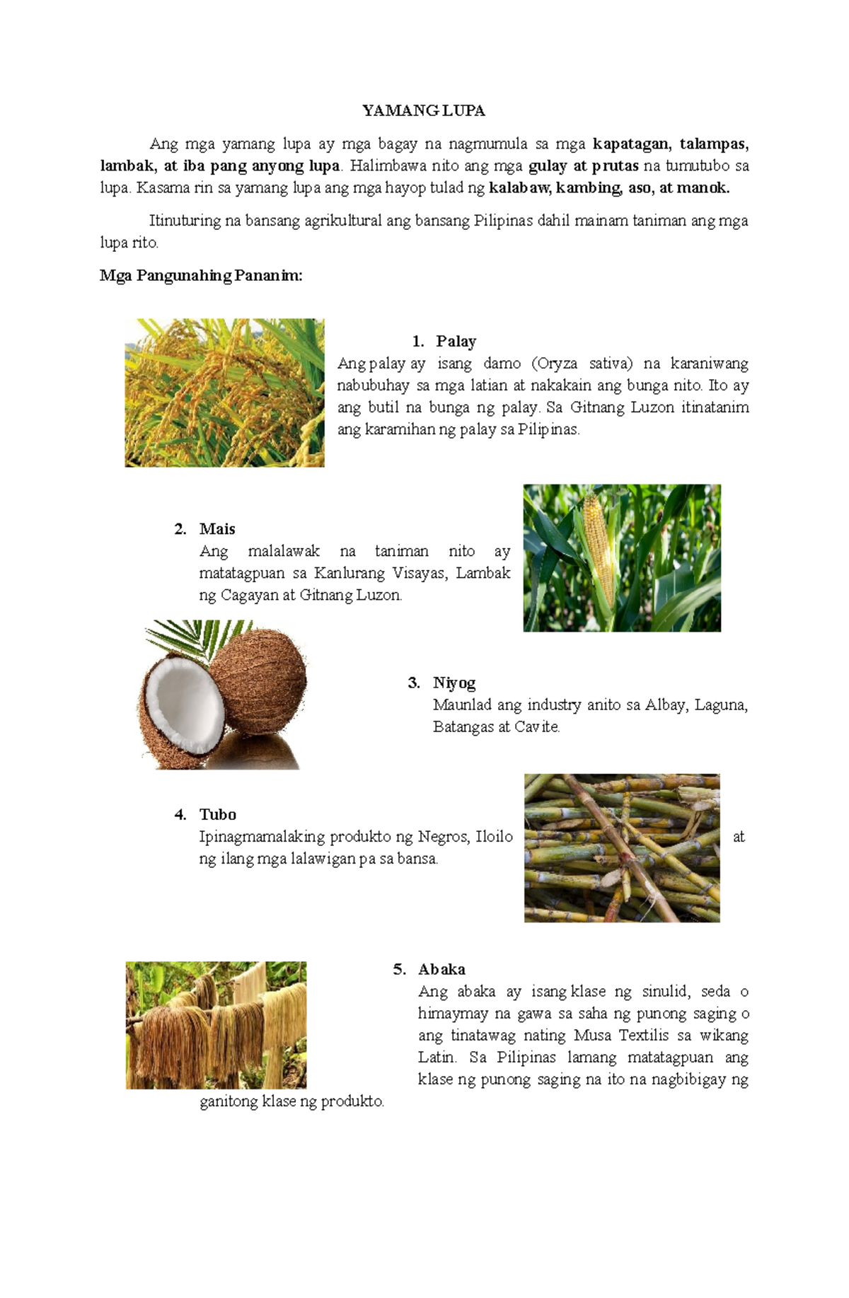 Yamang Lupa Halimbawa Mga Likas Na Yaman At Produkto Sa Aking