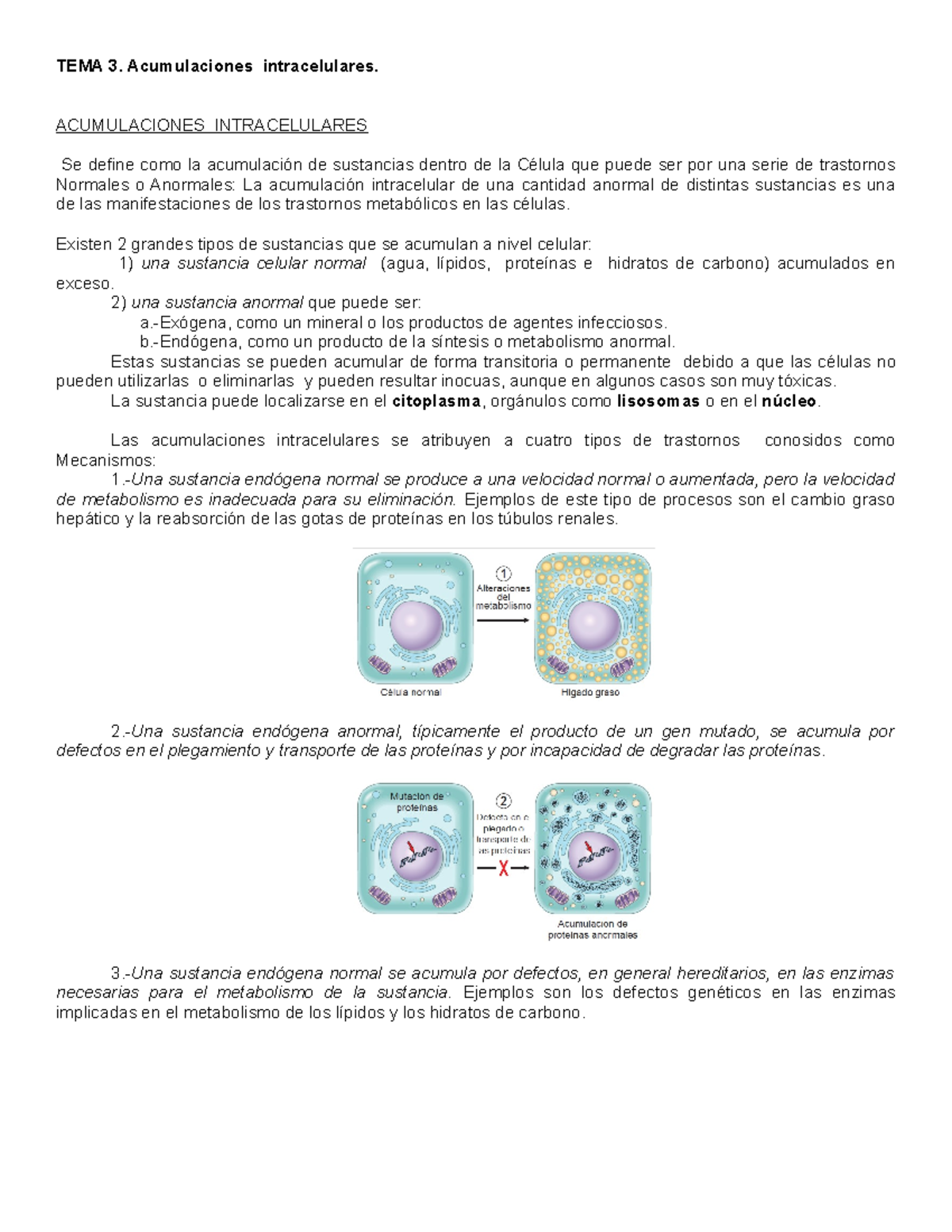 Acumulaciones Intracelulares: Mecanismos y Tipos - G Unefm - Studocu