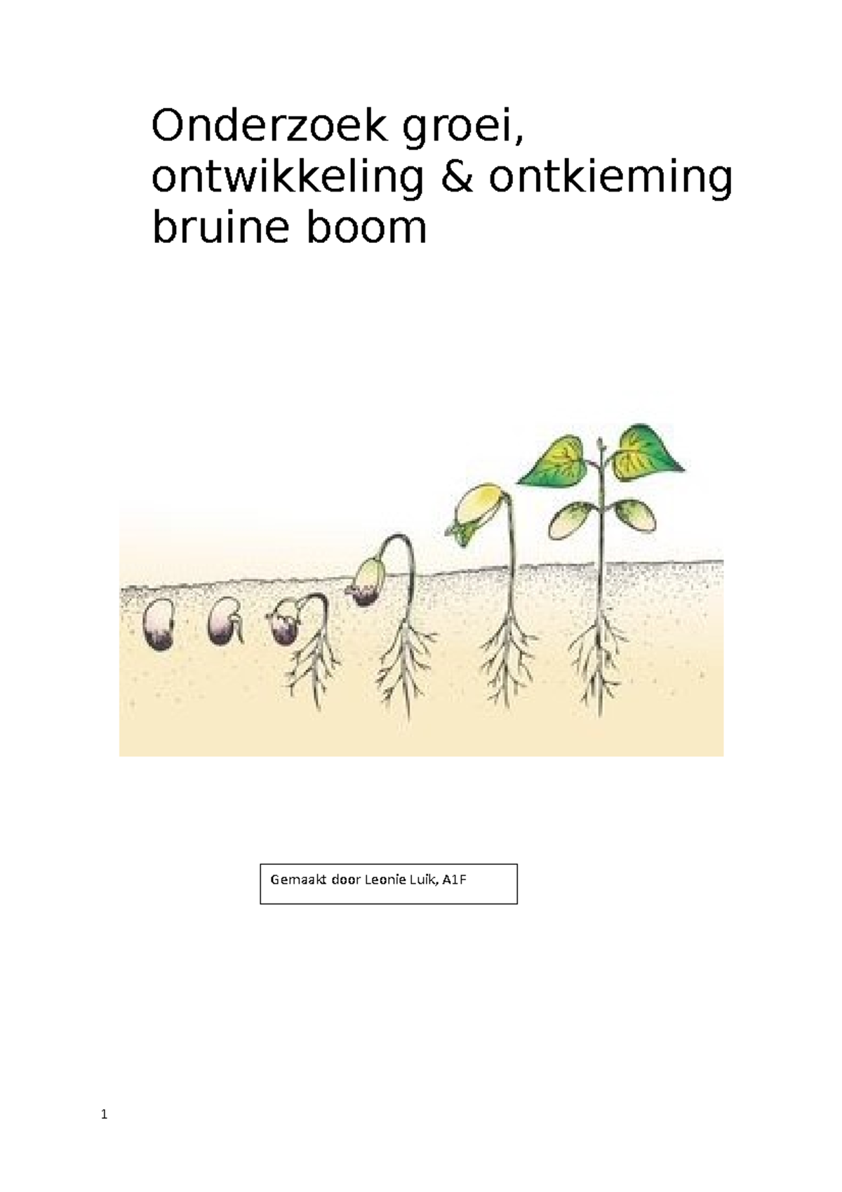 Biologie bonen verslag - Onderzoek groei, ontwikkeling & ontkieming ...