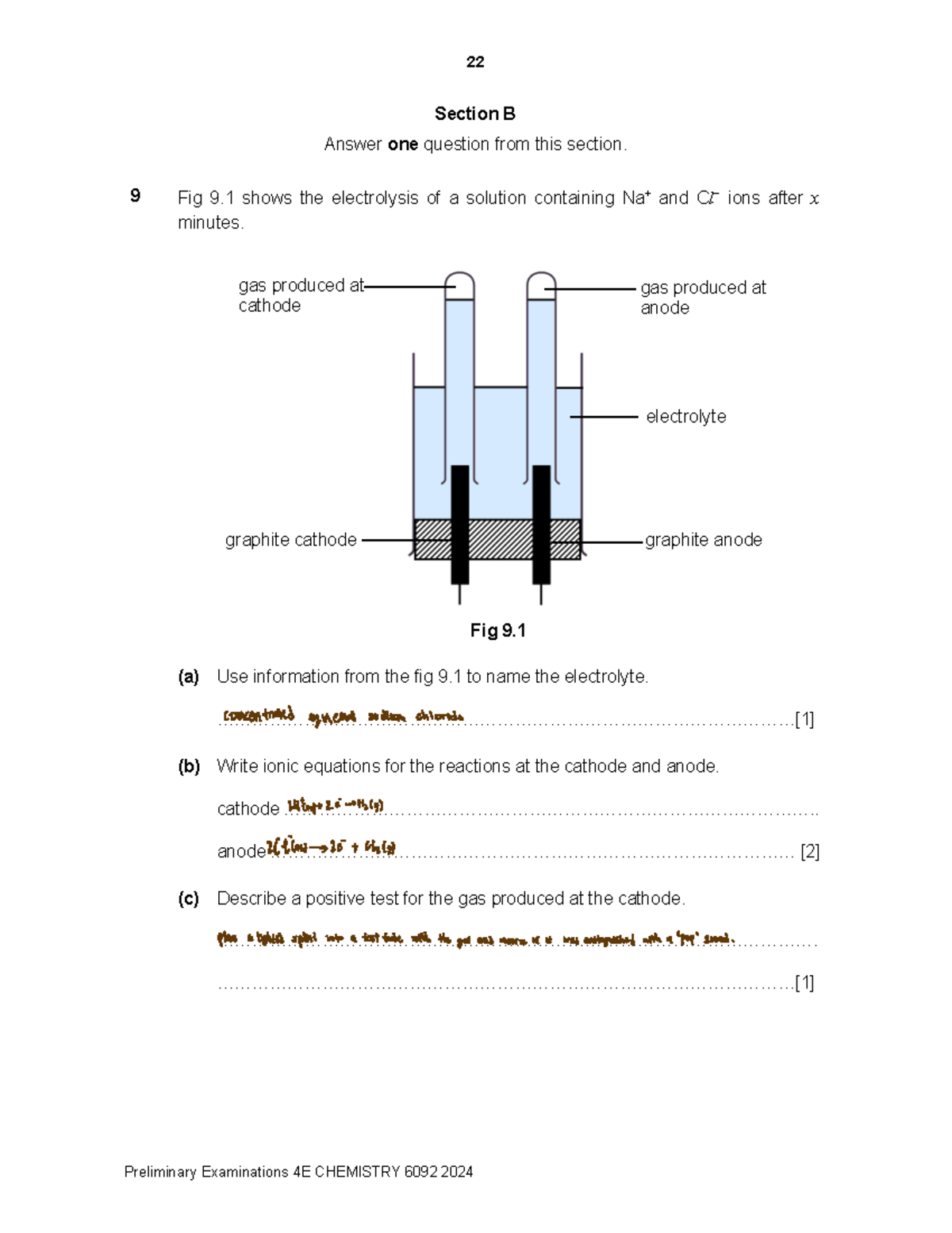 Preliminary Exam 4E CHEMISTRY 6092: Electrolysis & Conductivity ...