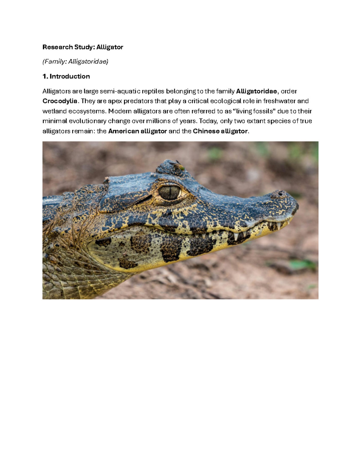 Research Study: Alligator (Family: Alligatoridae) Overview and Ecology ...