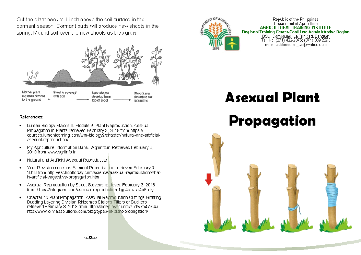 Asexual Plant Propagation Techniques - AGRI 101 Module Notes - Studocu