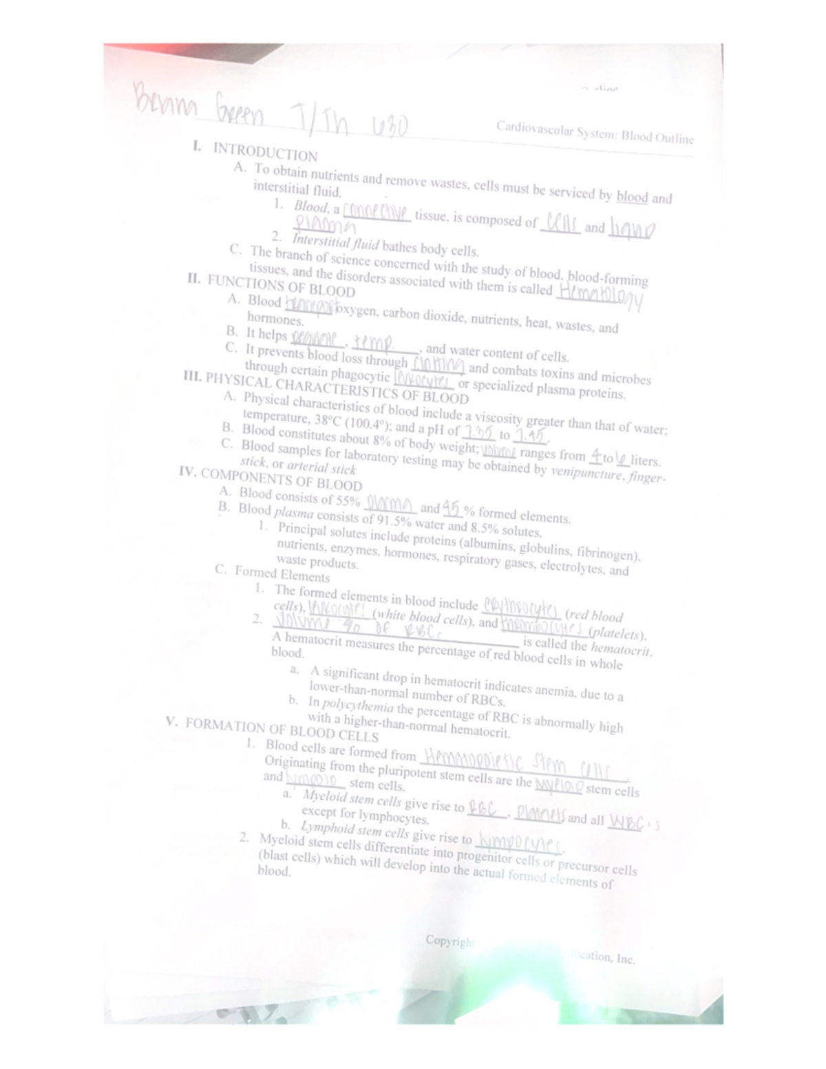 Berm Green 630 Cardiovascular System: Comprehensive Blood Outline - Studocu