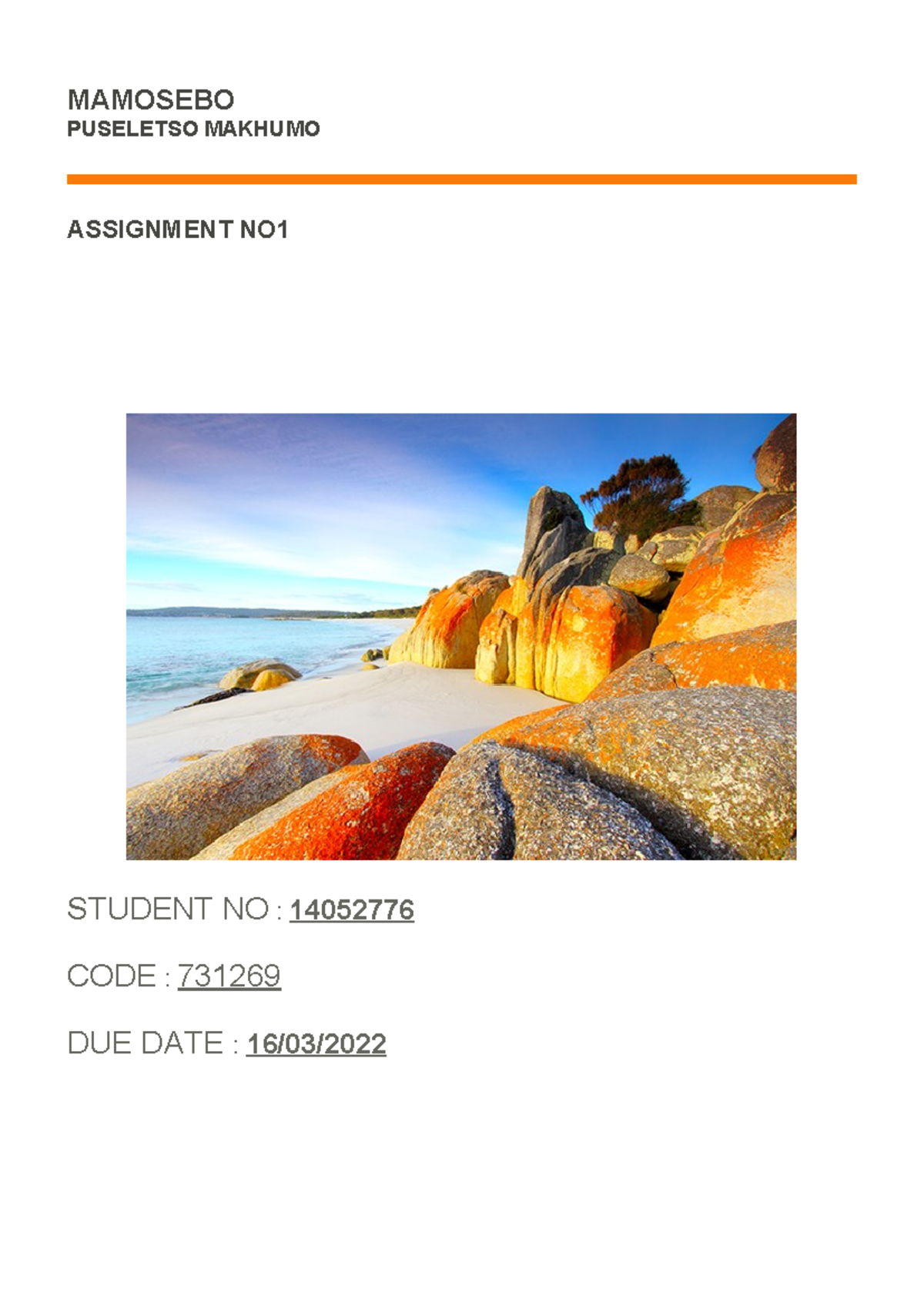 ARM 1504 Assignment 1: Conservation and Digital Preservation Insights ...