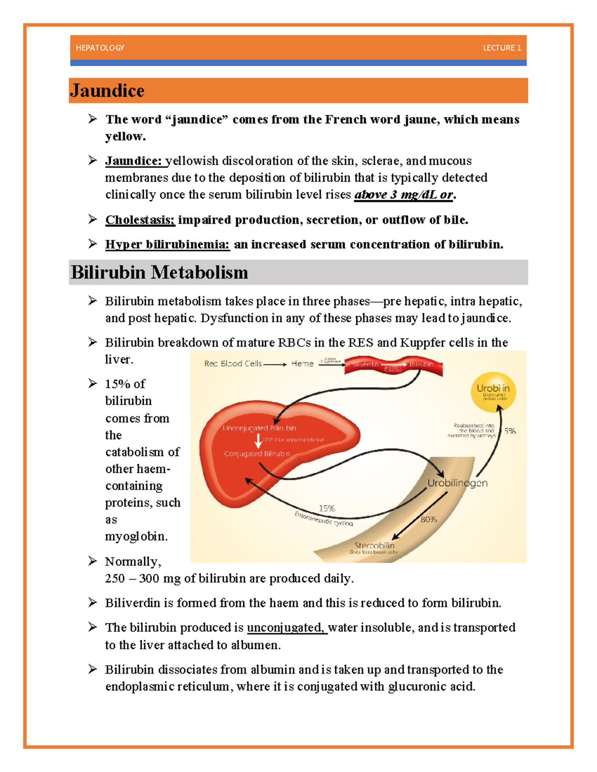 Understanding Jaundice: Causes, Classification, and Diagnostics - Studocu