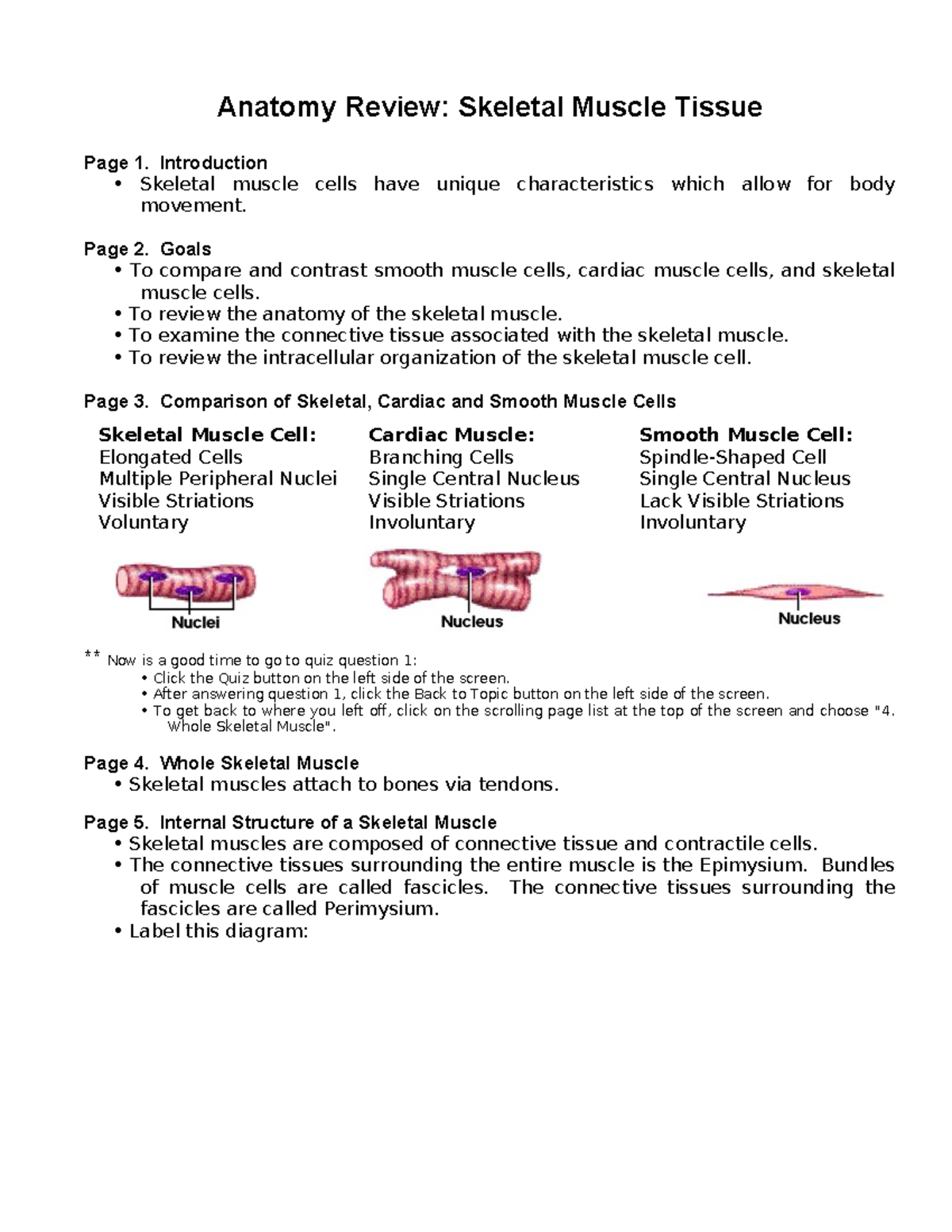 Anatomy Review: Skeletal Muscle Tissue (Course Code: ANAT101) - Studocu