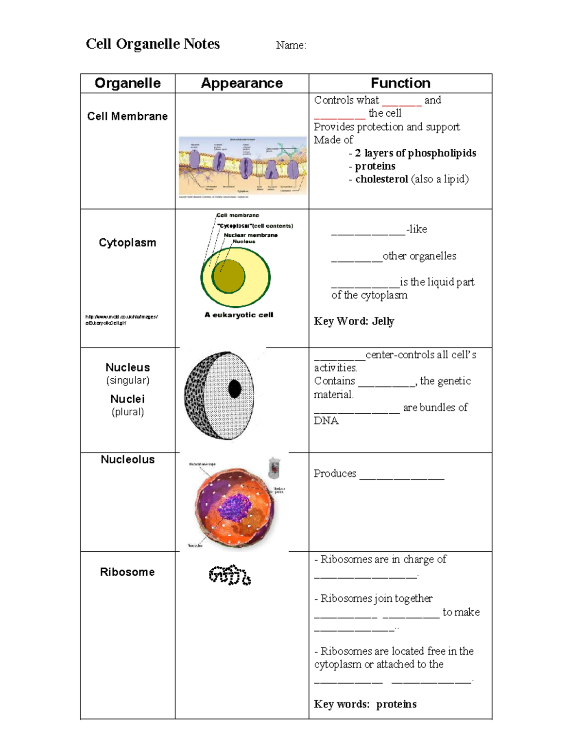 Cell Organelle Notes: Structure, Function, and Comparison of Cells ...
