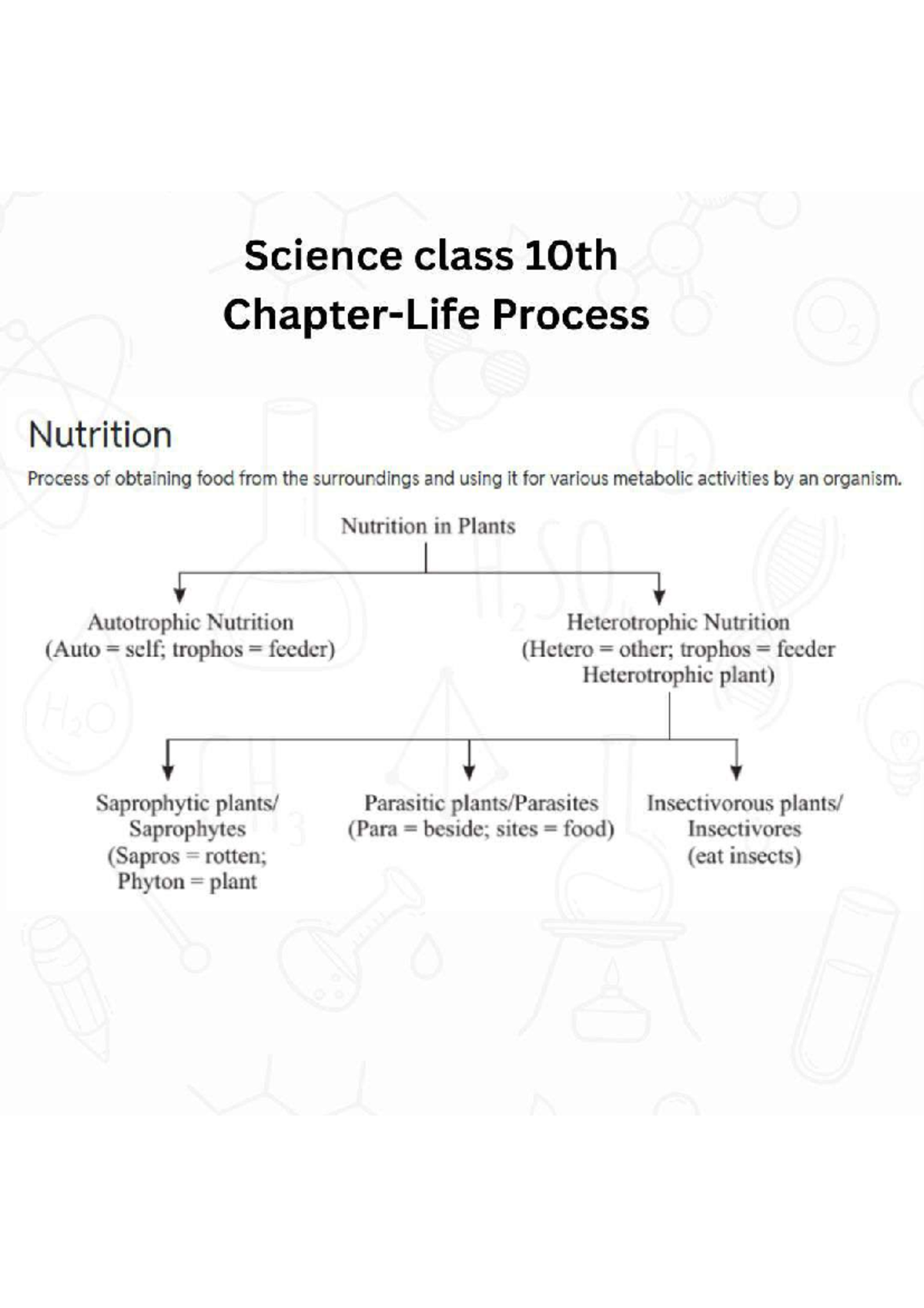 Science Class 10: Quick Revision on Nutrition & Life Processes - Studocu