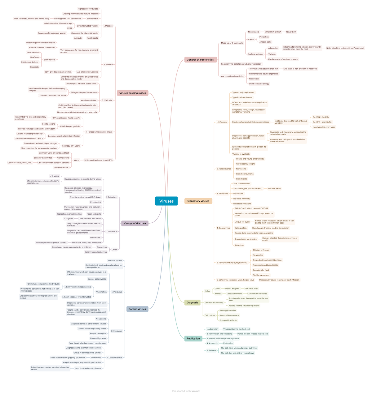 Viruses mind map - Viruses General characteristics Made up of 3 main ...