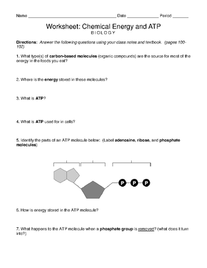 Coral Health Identification using Image Classification and Convolutional Neural Networks - See ...