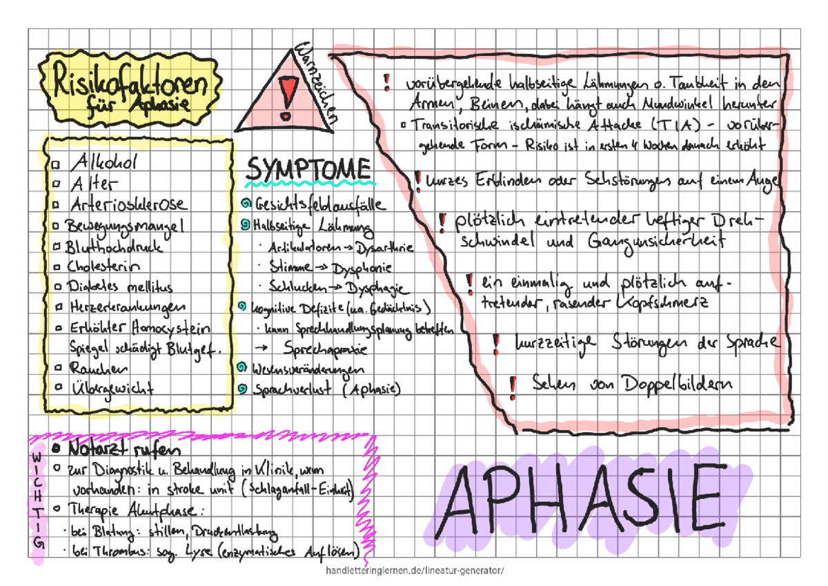 Aphasie: Risikofaktoren und Symptome - Seminarübersicht SoSe25 - Studocu