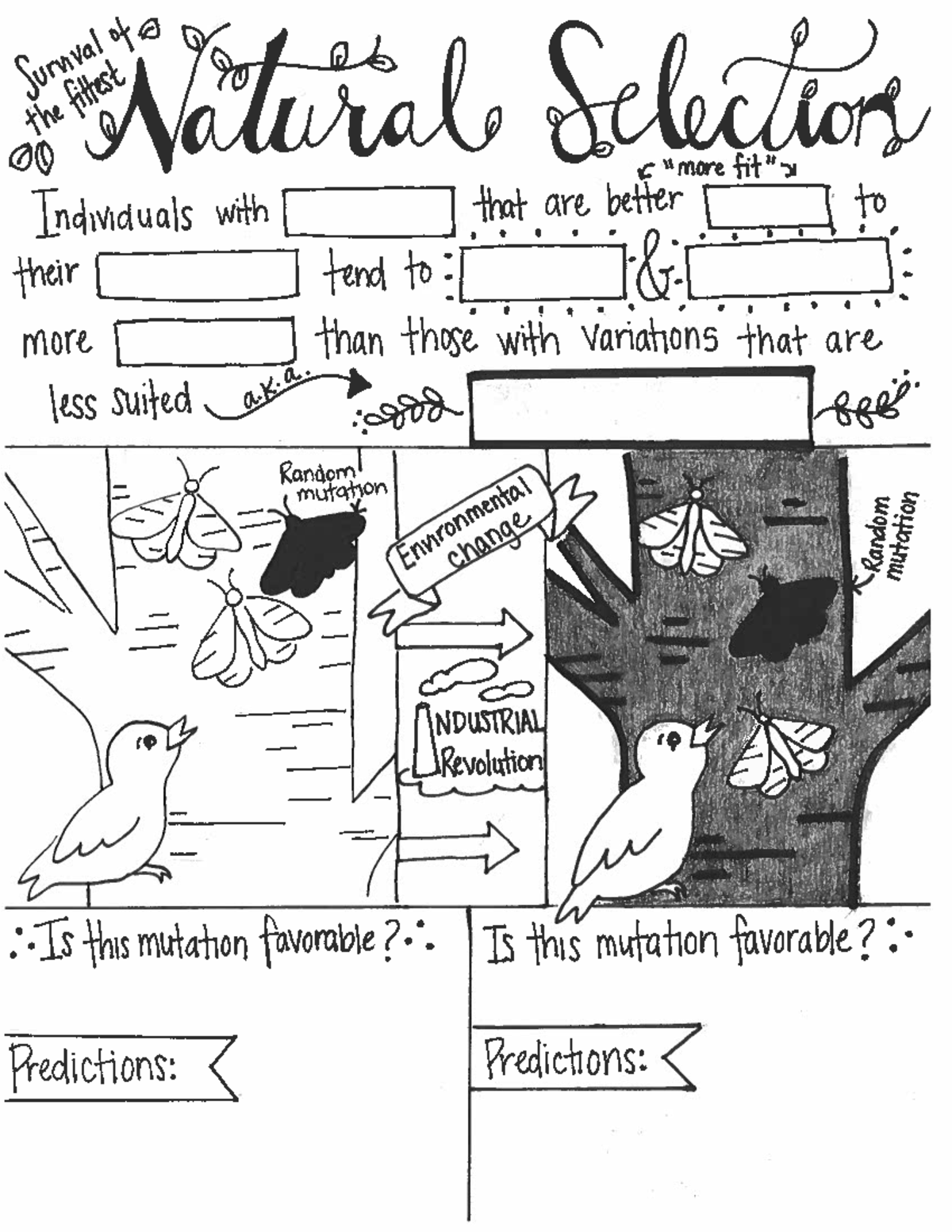 Copy of Natural selection - Survival of the 1 fittest Natural ...