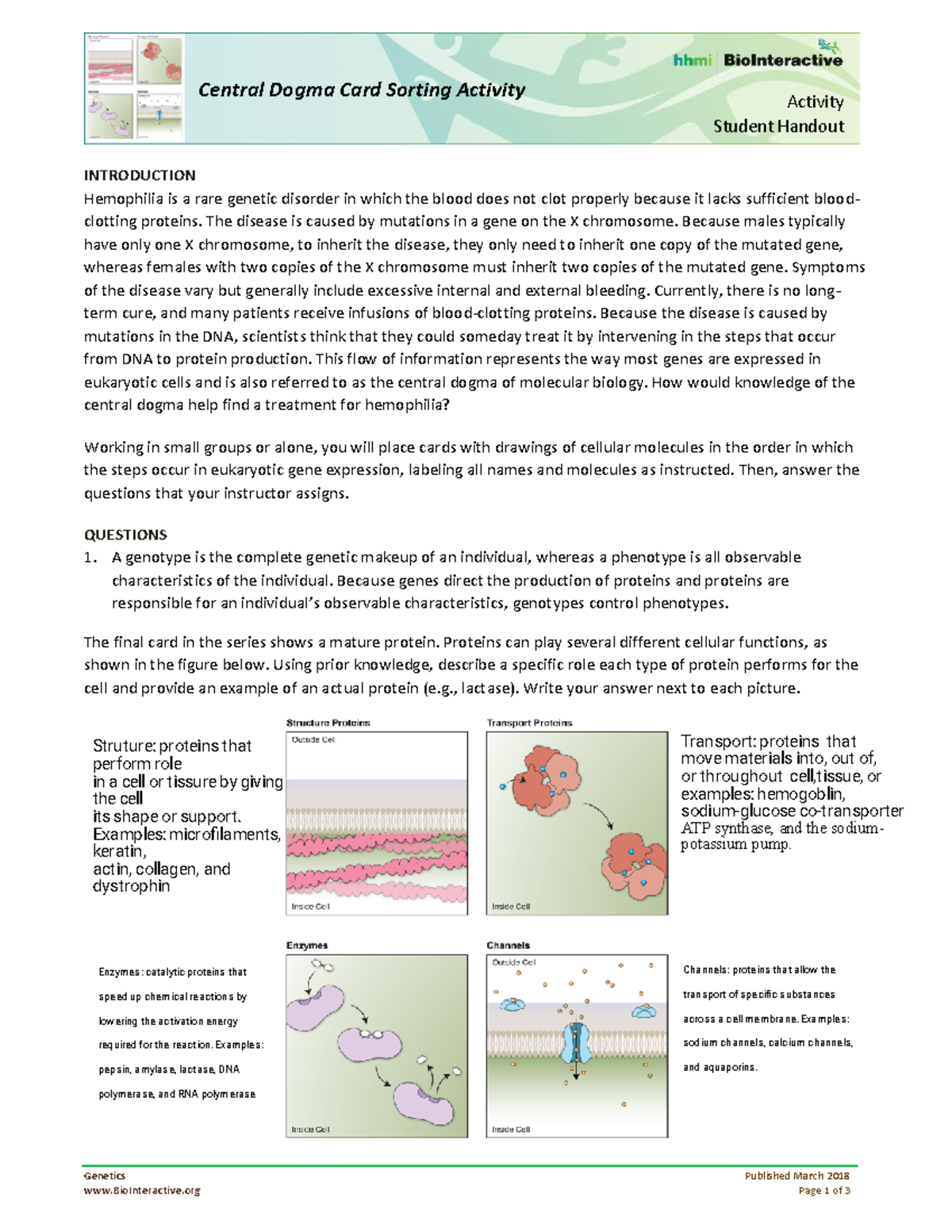 Central Dogma Activity: Understanding Genetic Disorders & Treatments ...