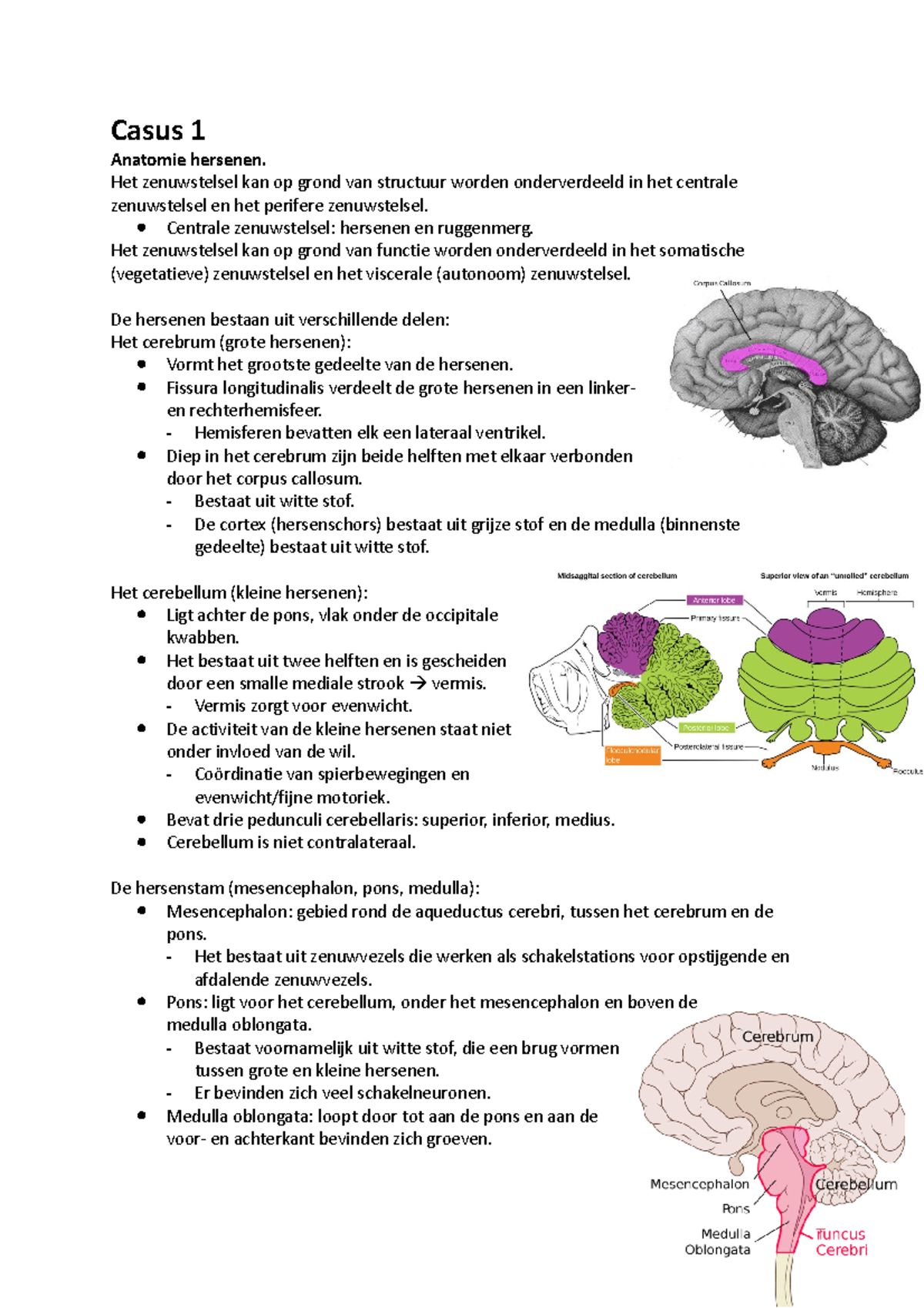 Casussen over Anatomie van het Zenuwstelsel en Hersenzenuwen I ...