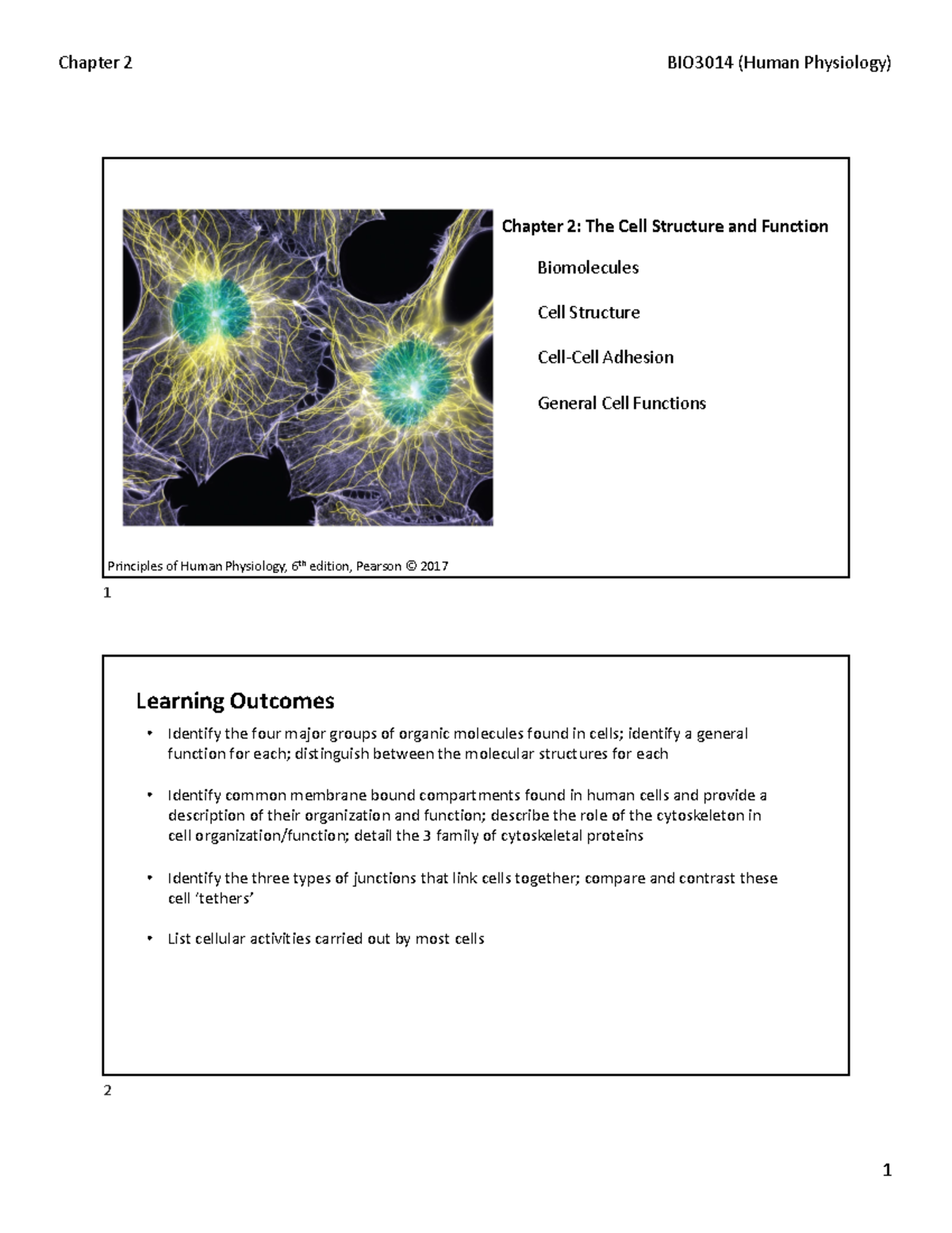 Chapter 2: Cell Structure and Function - BIO3014 (Human Physiology ...