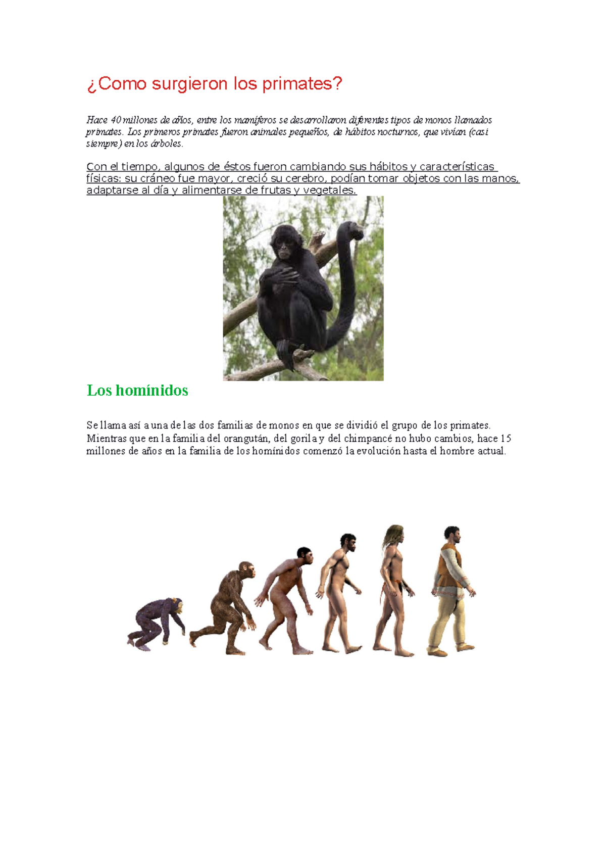 Historia de los Primates: Evolución y Cambios en los Hábitos - Studocu