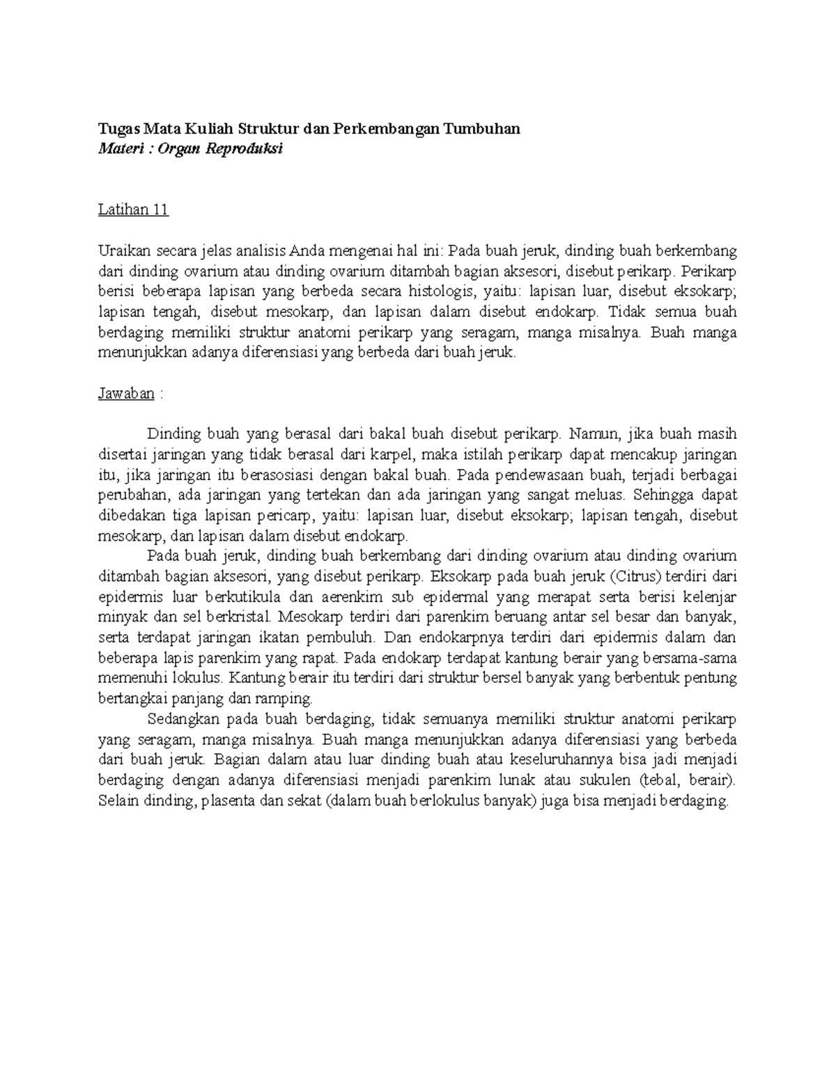 Biologi (35) - Struktur dan Perkembangan Tumbuhan: Analisis Perikarp ...