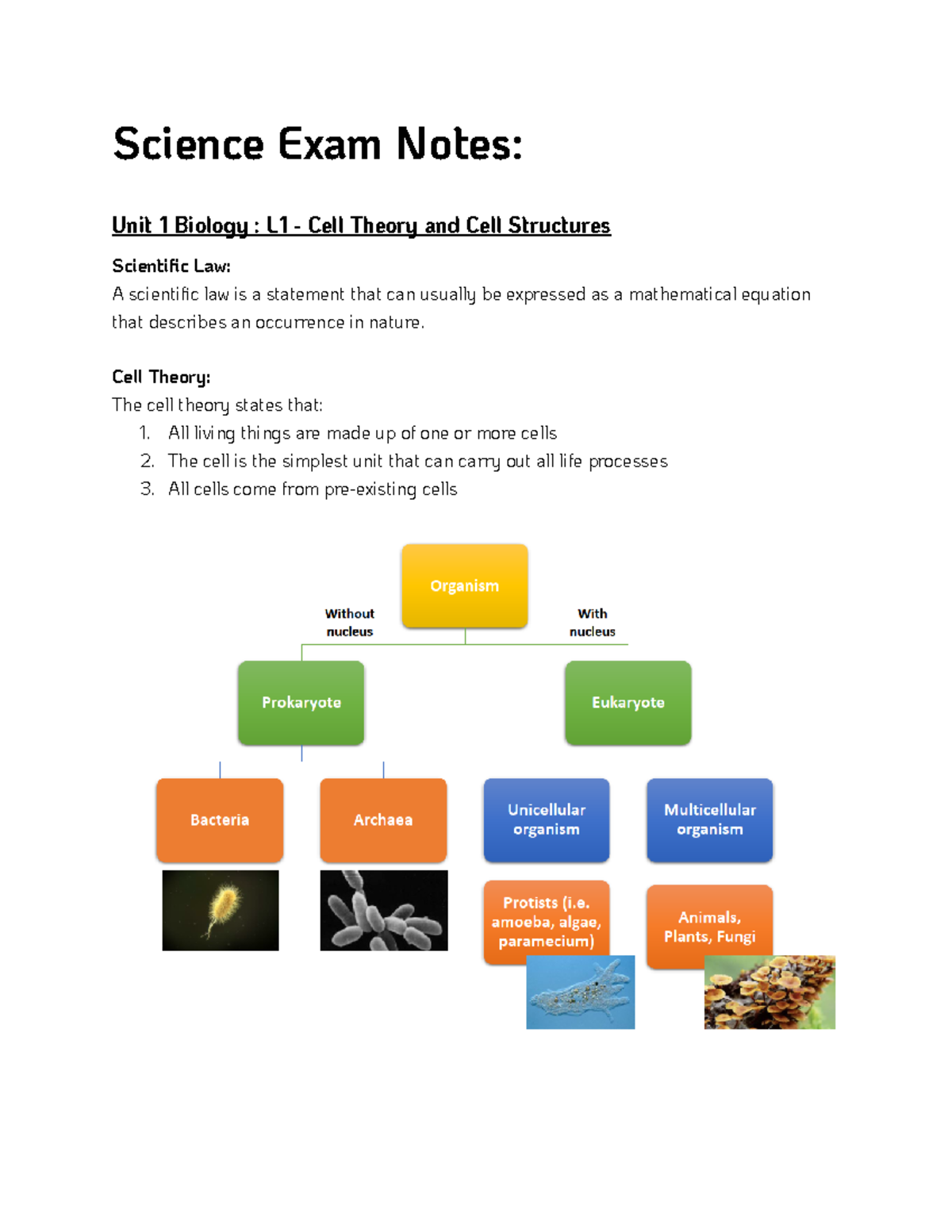 Grade 10 Science Exam Notes: Comprehensive Review of All Units - Studocu